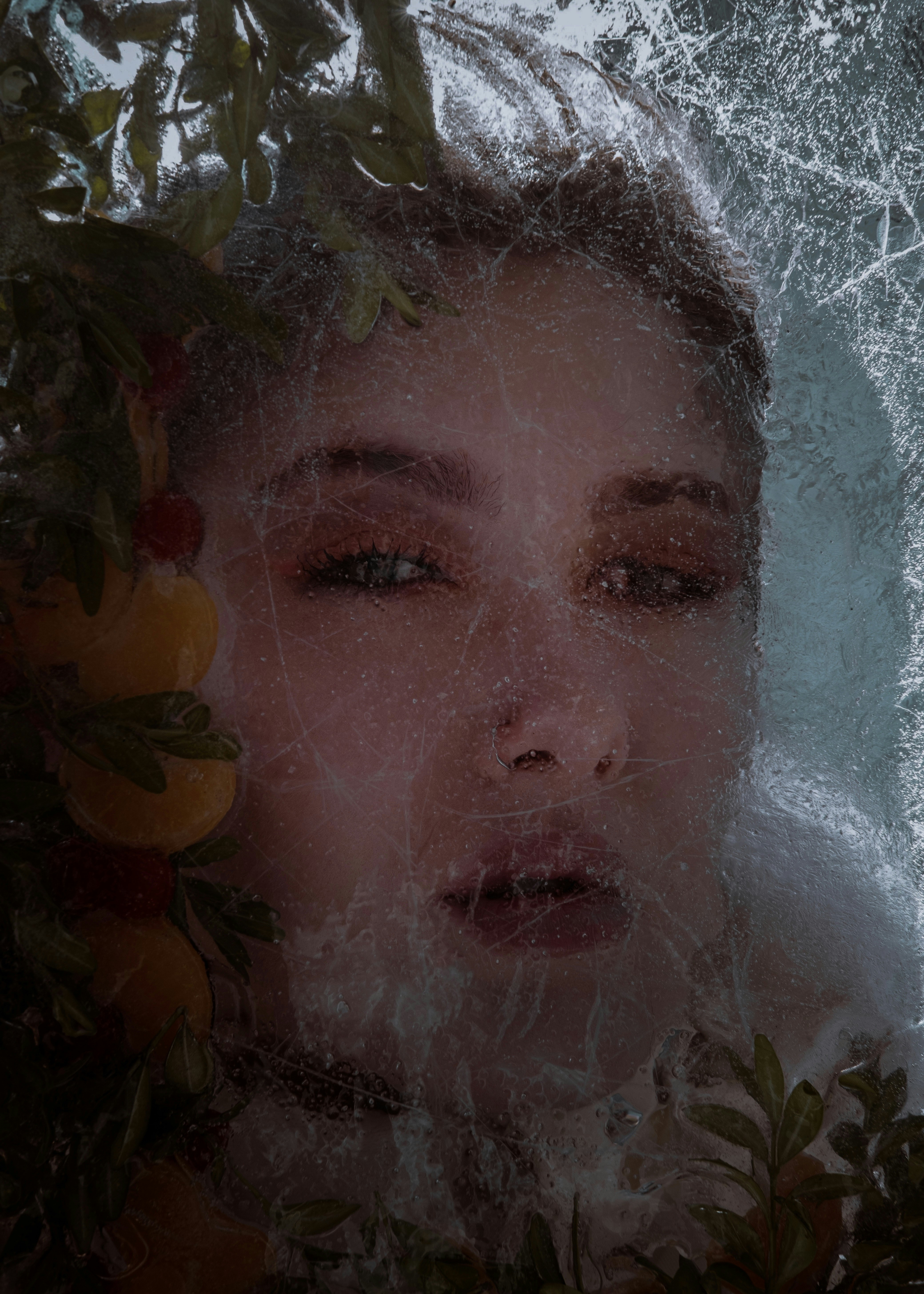 Glimmer Through Frost: Portrait Veiled by Citrus and Foliage