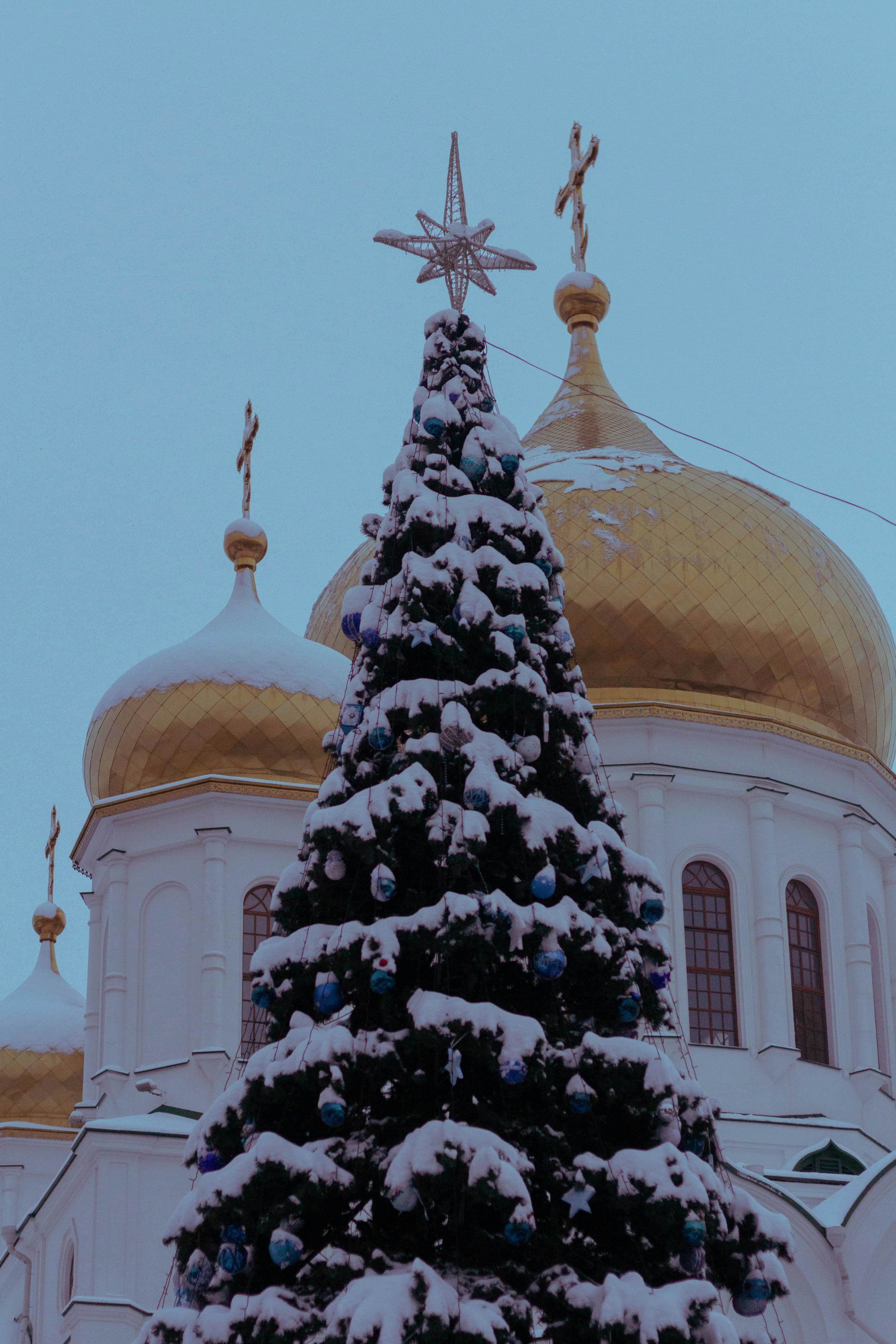A christmas tree in front of a church photo – Free Building Image on ...