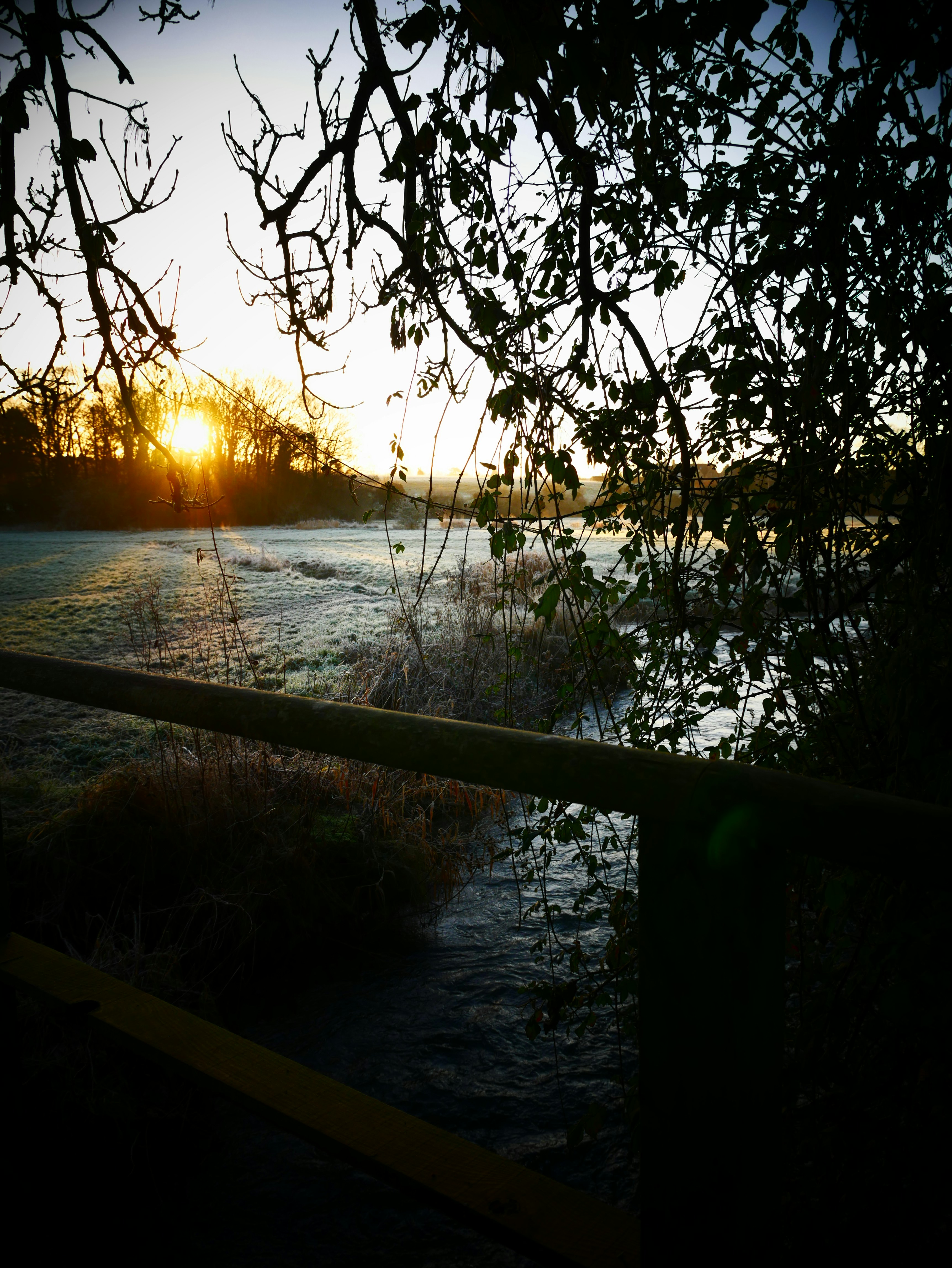 Sunset Over a Quiet River, Framed by Silhouetted Branches and a Railing