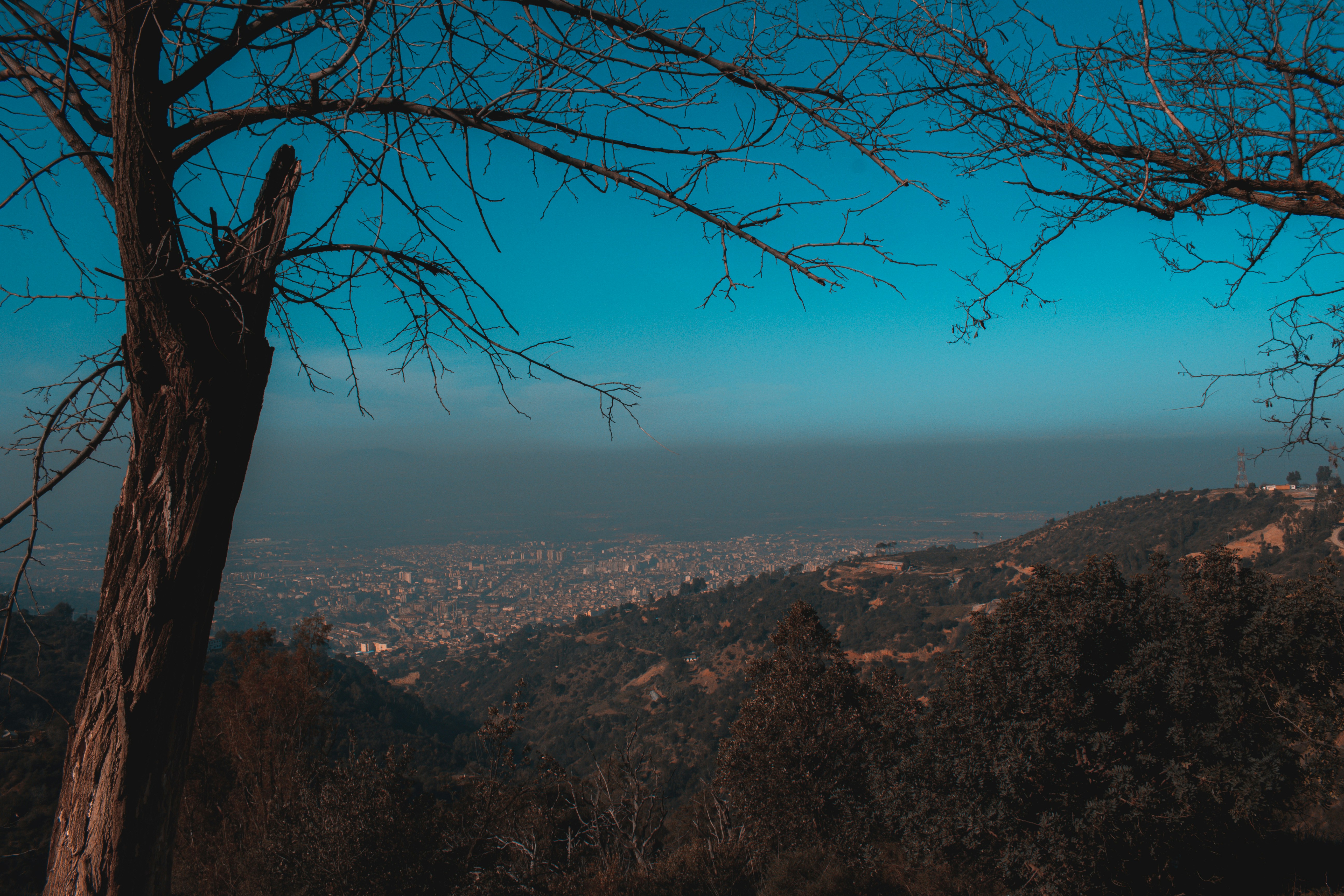 Urban Tapestry: A Mountain's Whisper