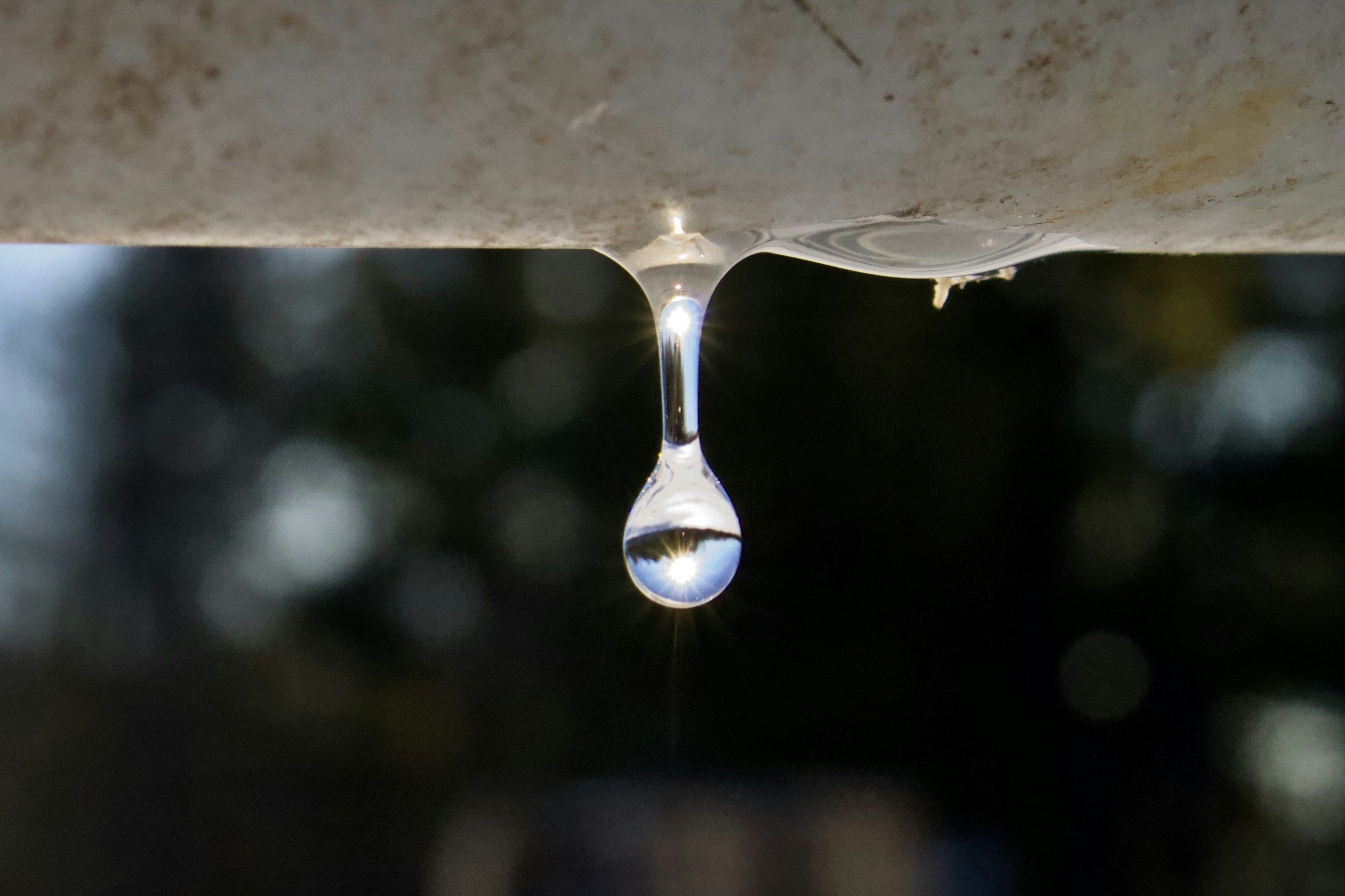 The Final Drop: Nature's Liquid GemAbigail