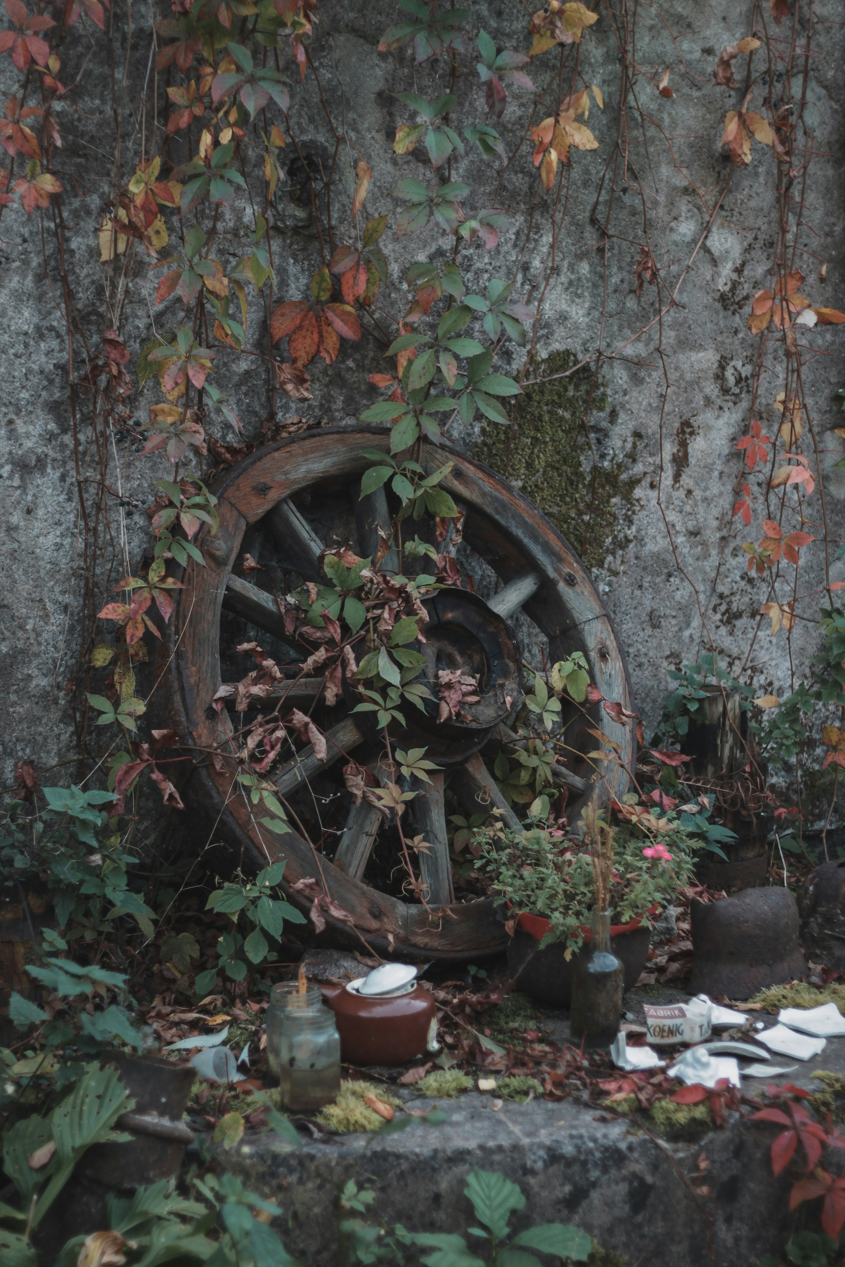 An antique wooden wheel entwined with vibrant foliage against a weathered stone wall, surrounded by remnants of nature and forgotten objects.