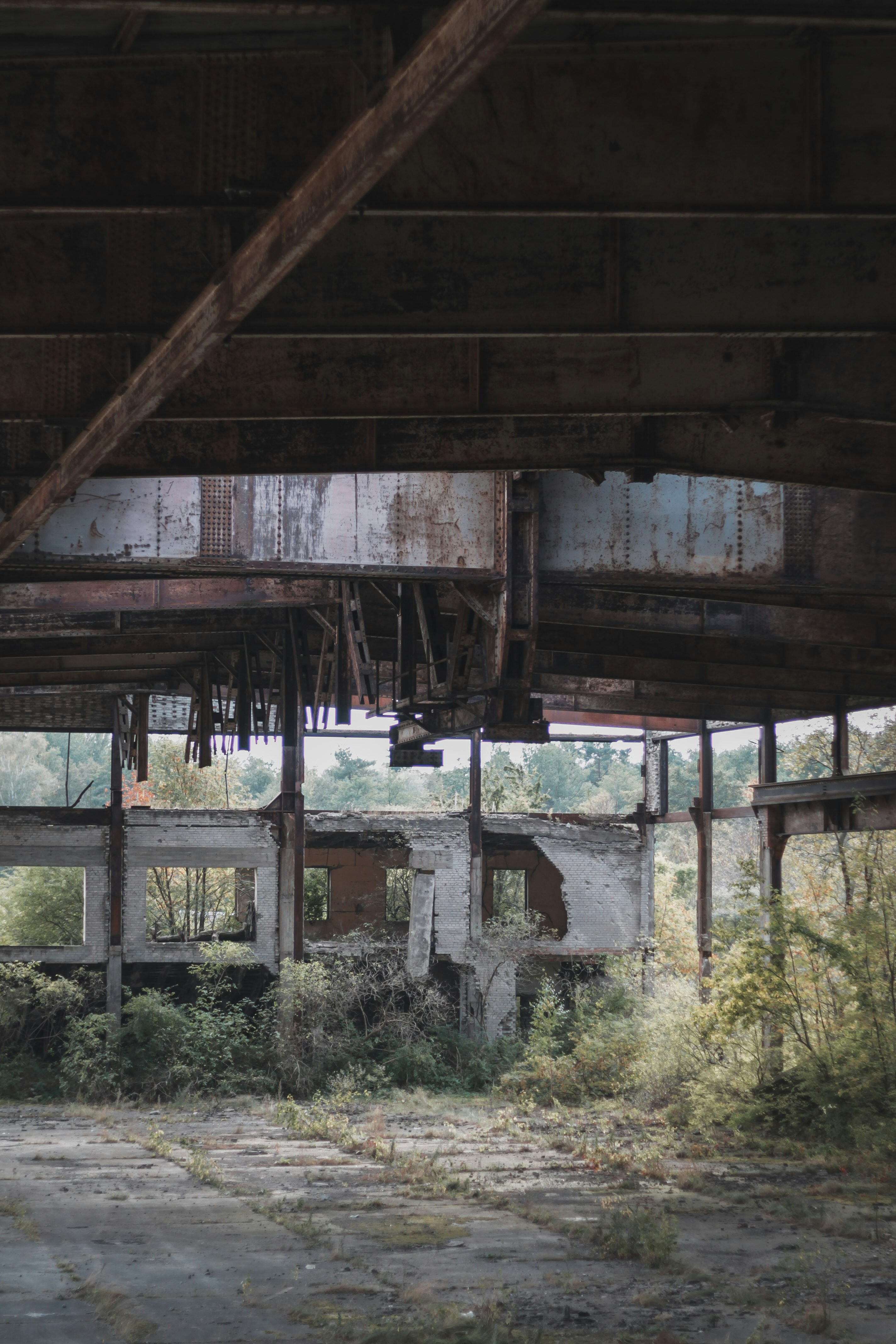 Abandoned industrial structure with rusted beams and overgrown vegetation, illustrating the passage of time and nature's resilience.