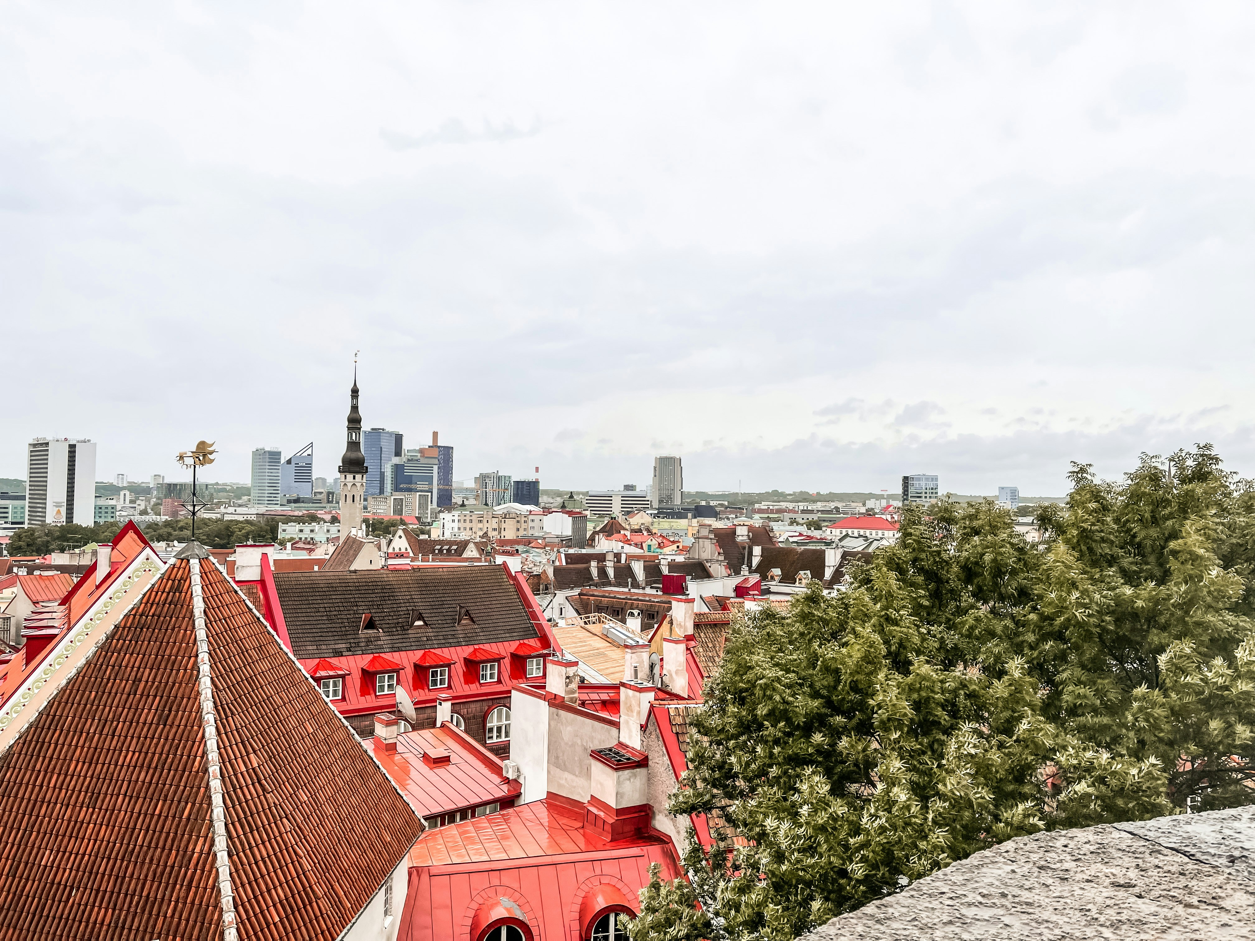 Crimson Rooftops Framing a Distant Skyline
