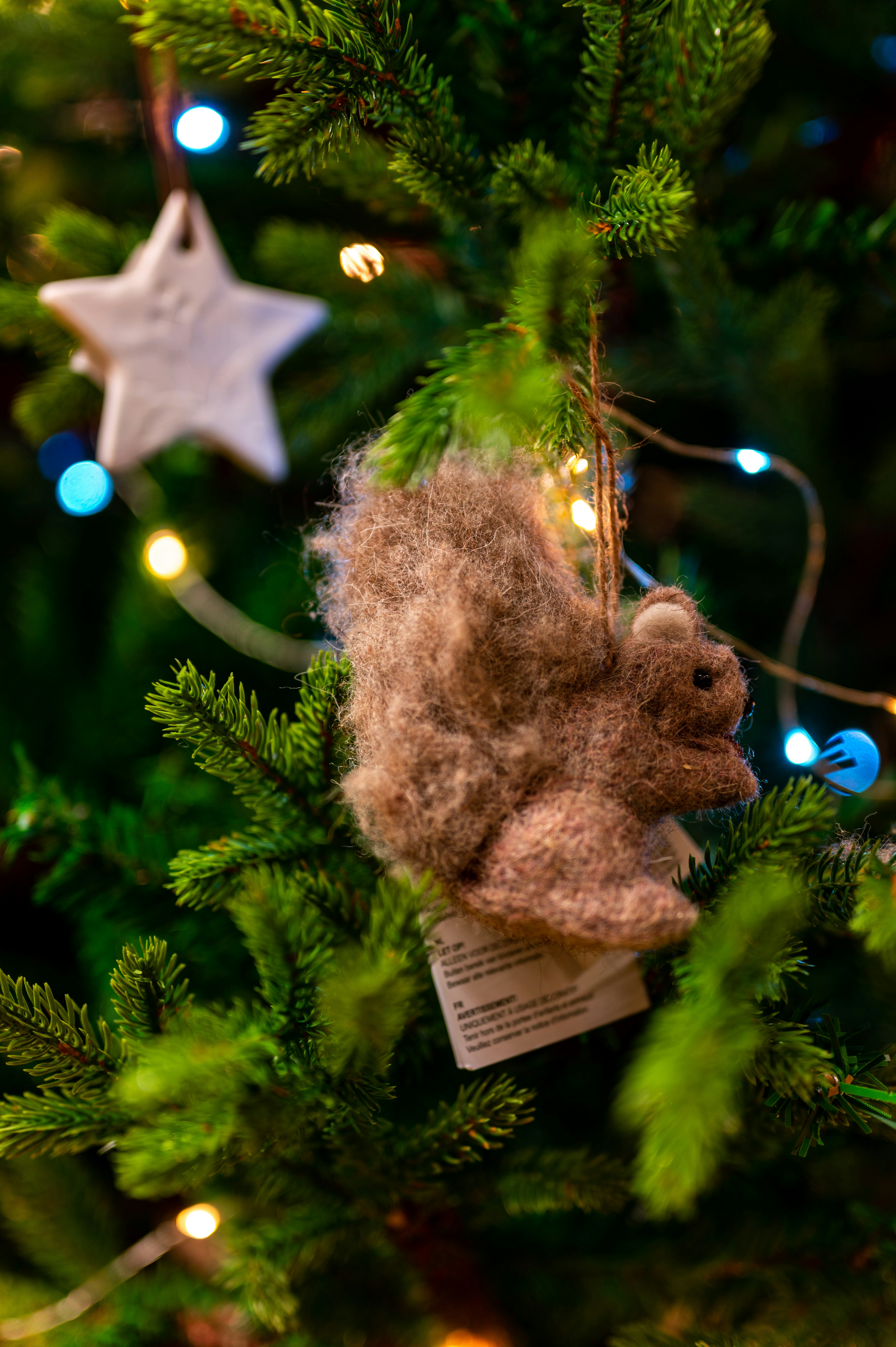 Foto Un adorno de oso de peluche colgando de un árbol de Navidad ...
