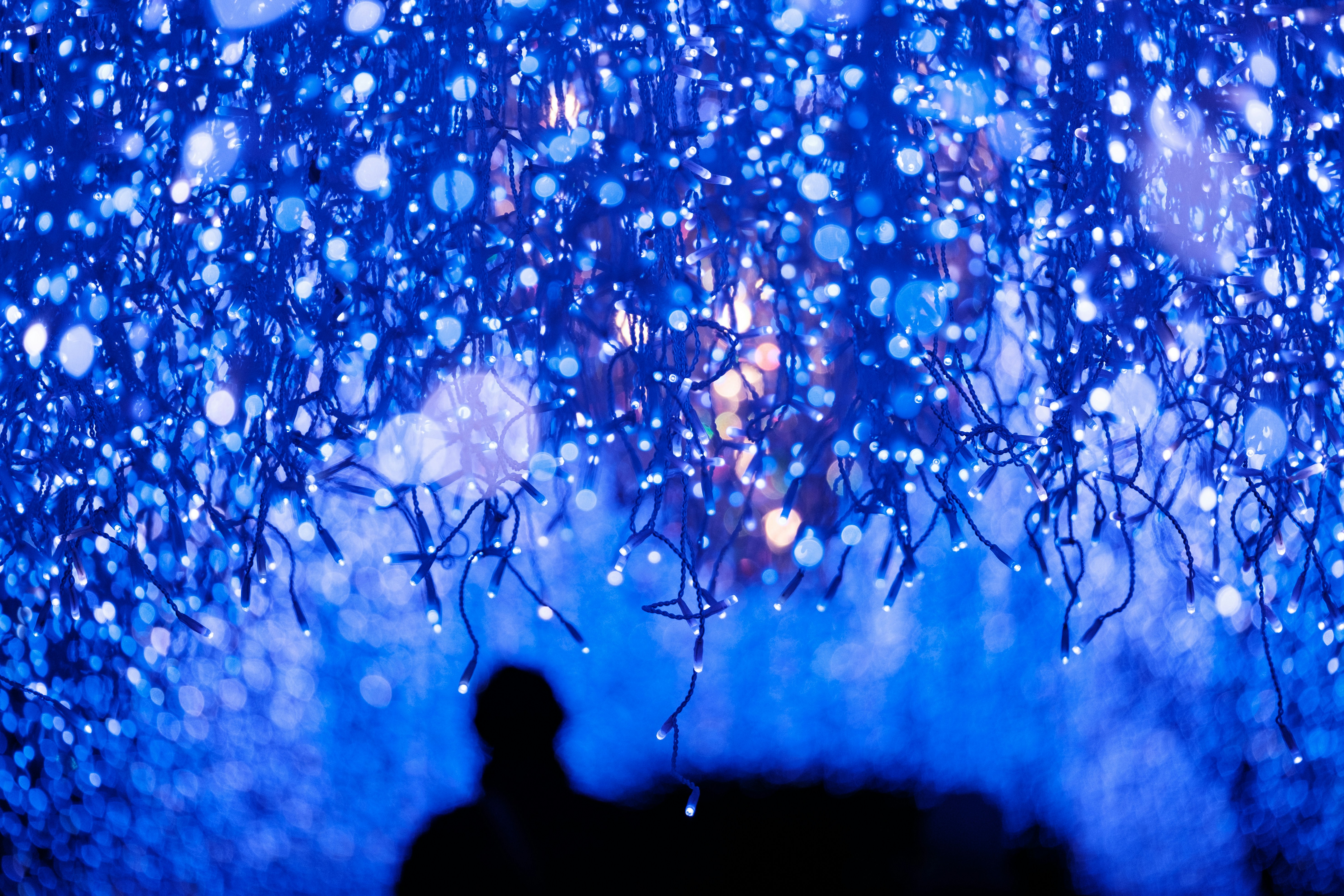 A person standing in front of a blue screen photo – Free Enoşima Image ...