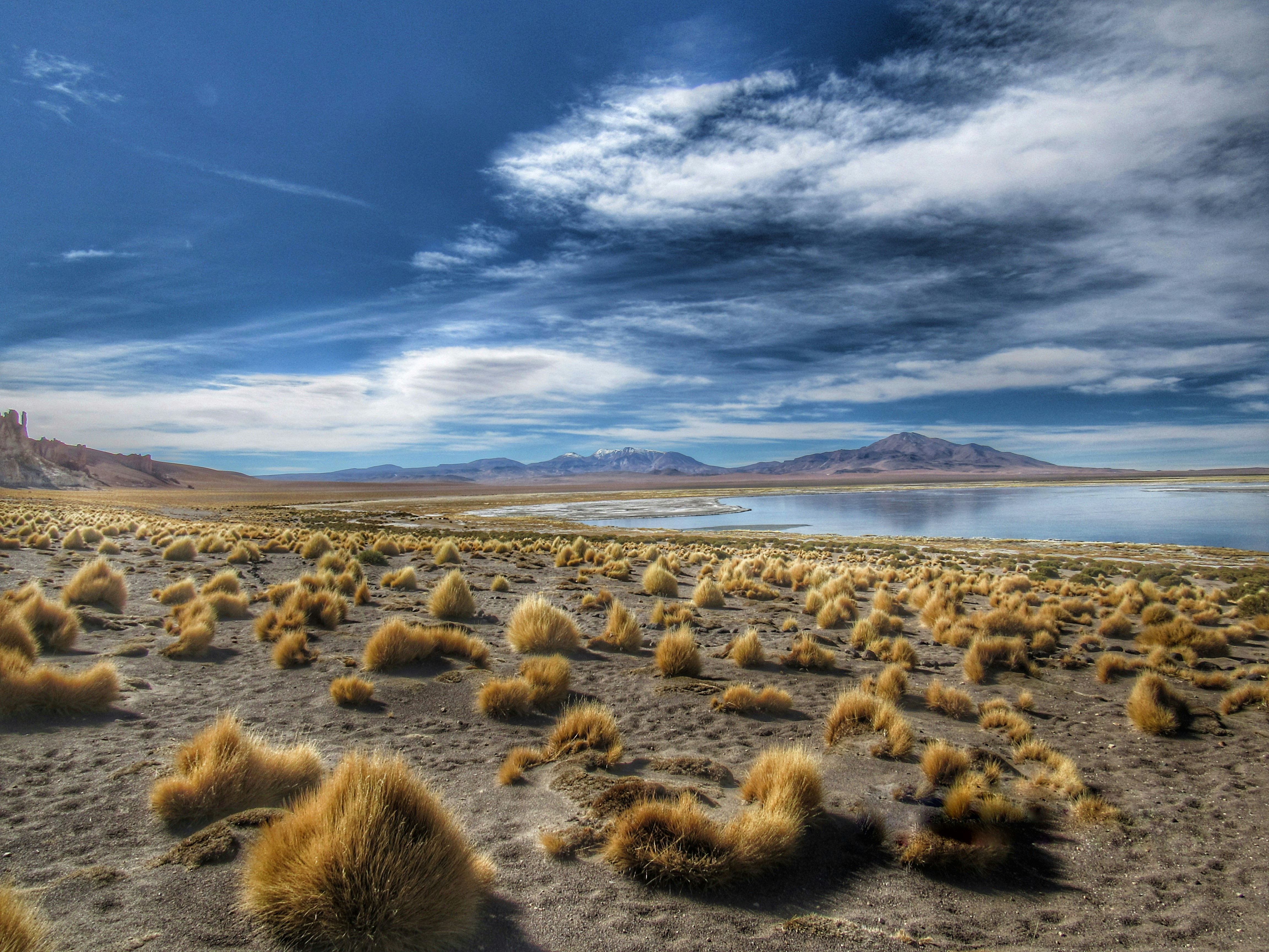 Golden tufts of grass sway gently in the wind against a backdrop of serene waters and distant mountains. The expansive sky adds depth to the tranquil scene.