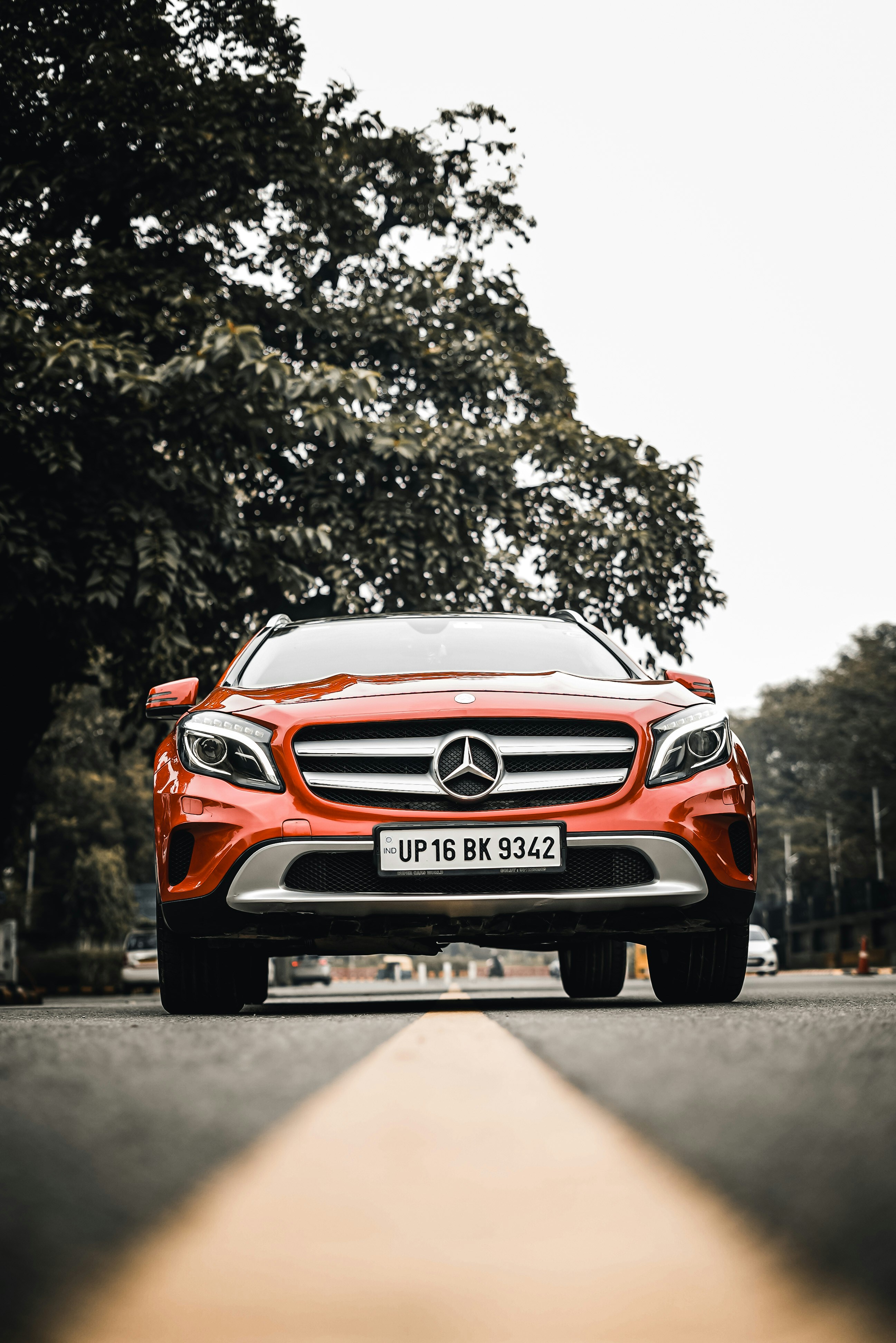 Low-Angle Red Stallion: A Mercedes Crowned by a Vanishing Horizon