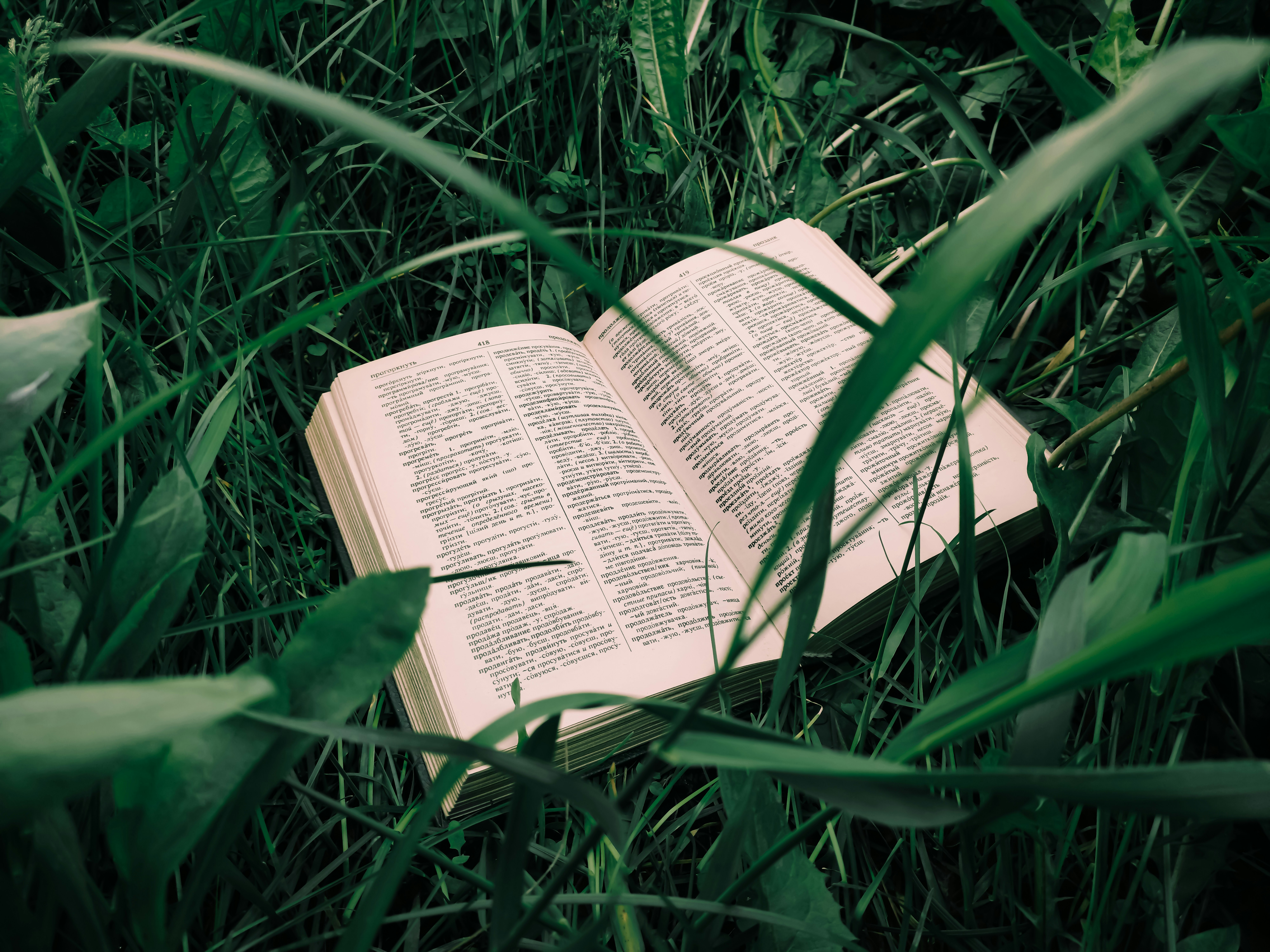 Open book resting in lush green grass, surrounded by tall blades. The pages are filled with text, inviting exploration.