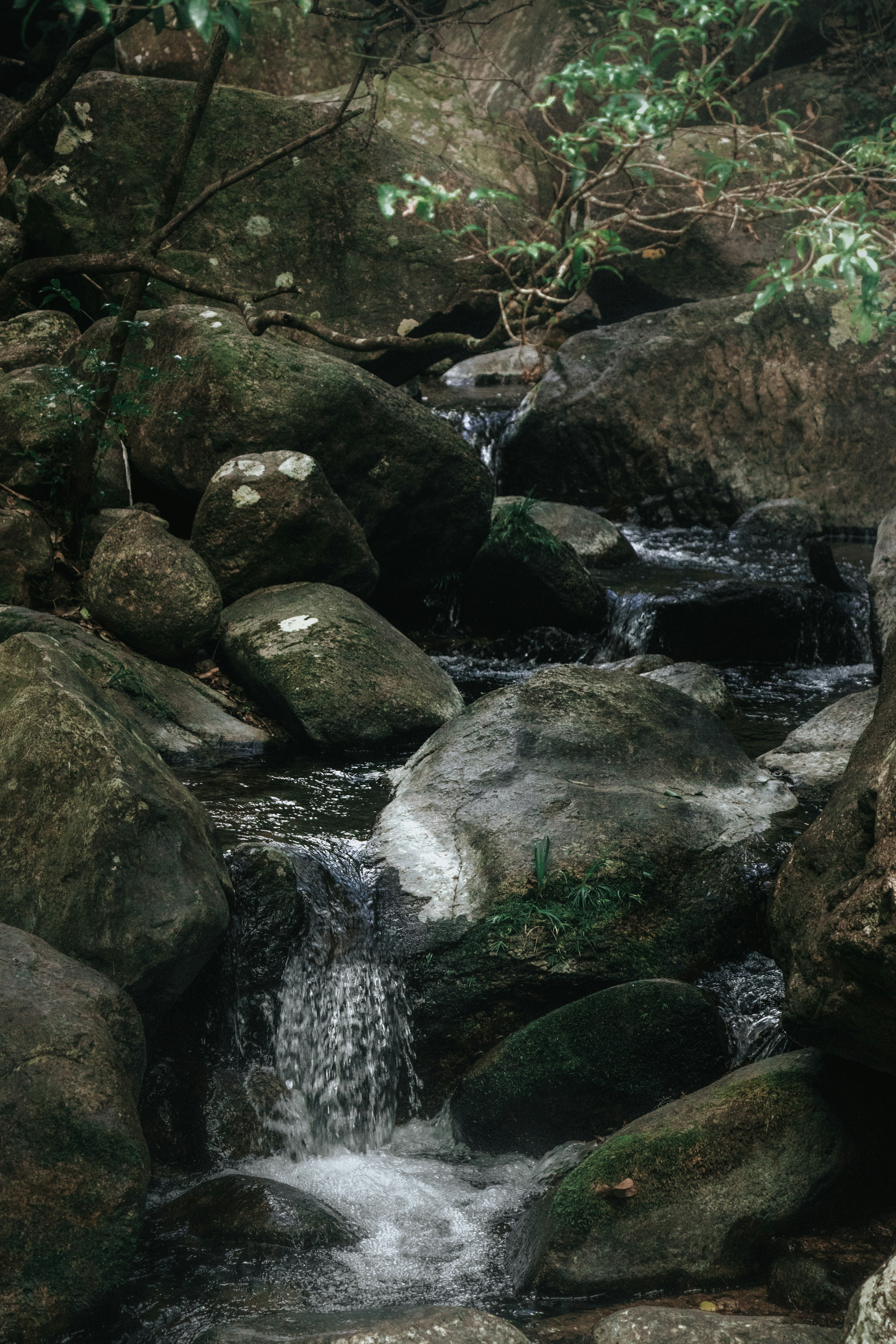 A stream of water running over rocks in a forest photo – Free Guangdong ...
