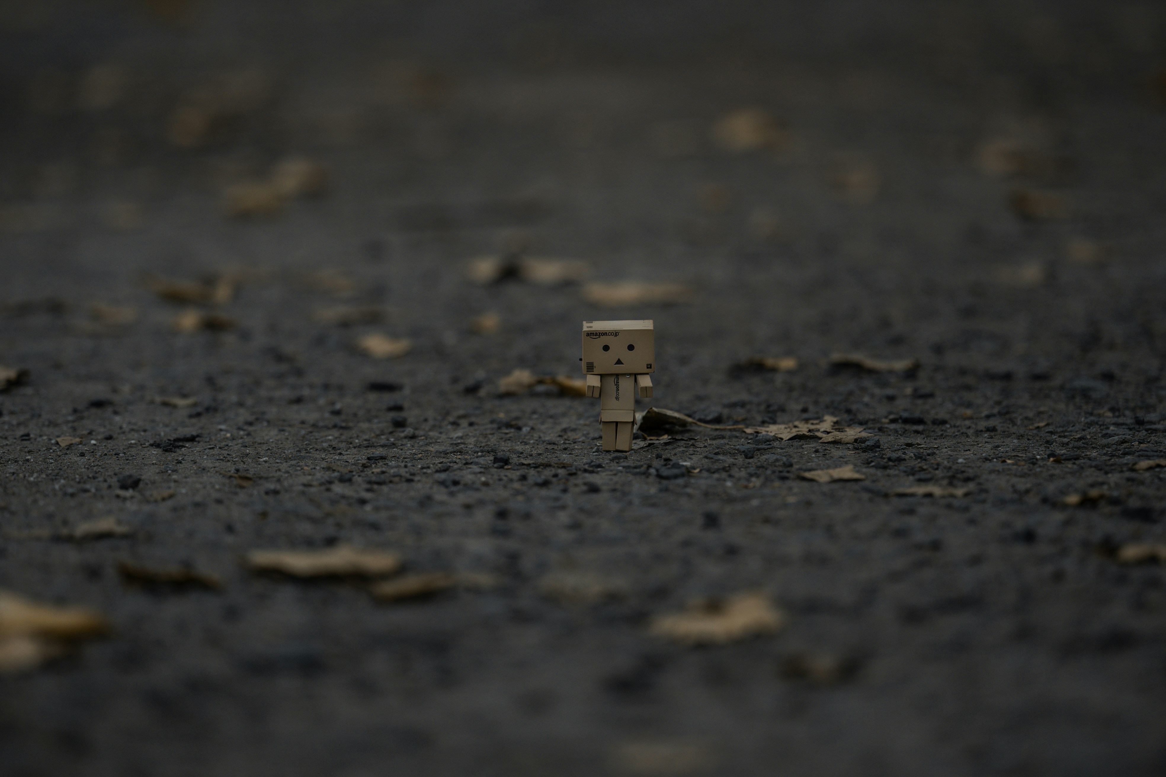 Danbo on a Rain-Kissed Pavement: A Tiny Sentinel Among Falling Leaves