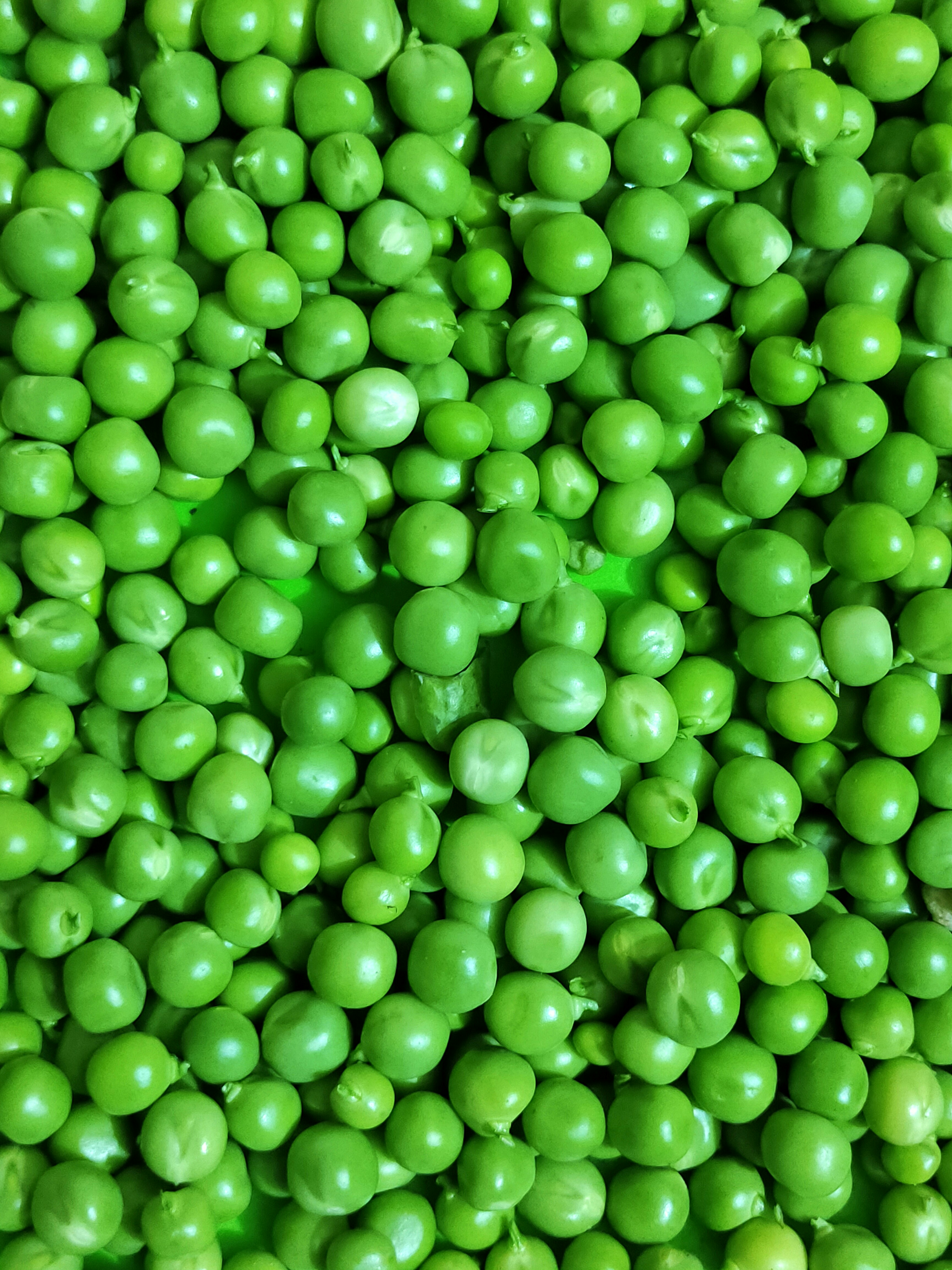 A pile of green apples sitting next to each other photo – Free Green ...