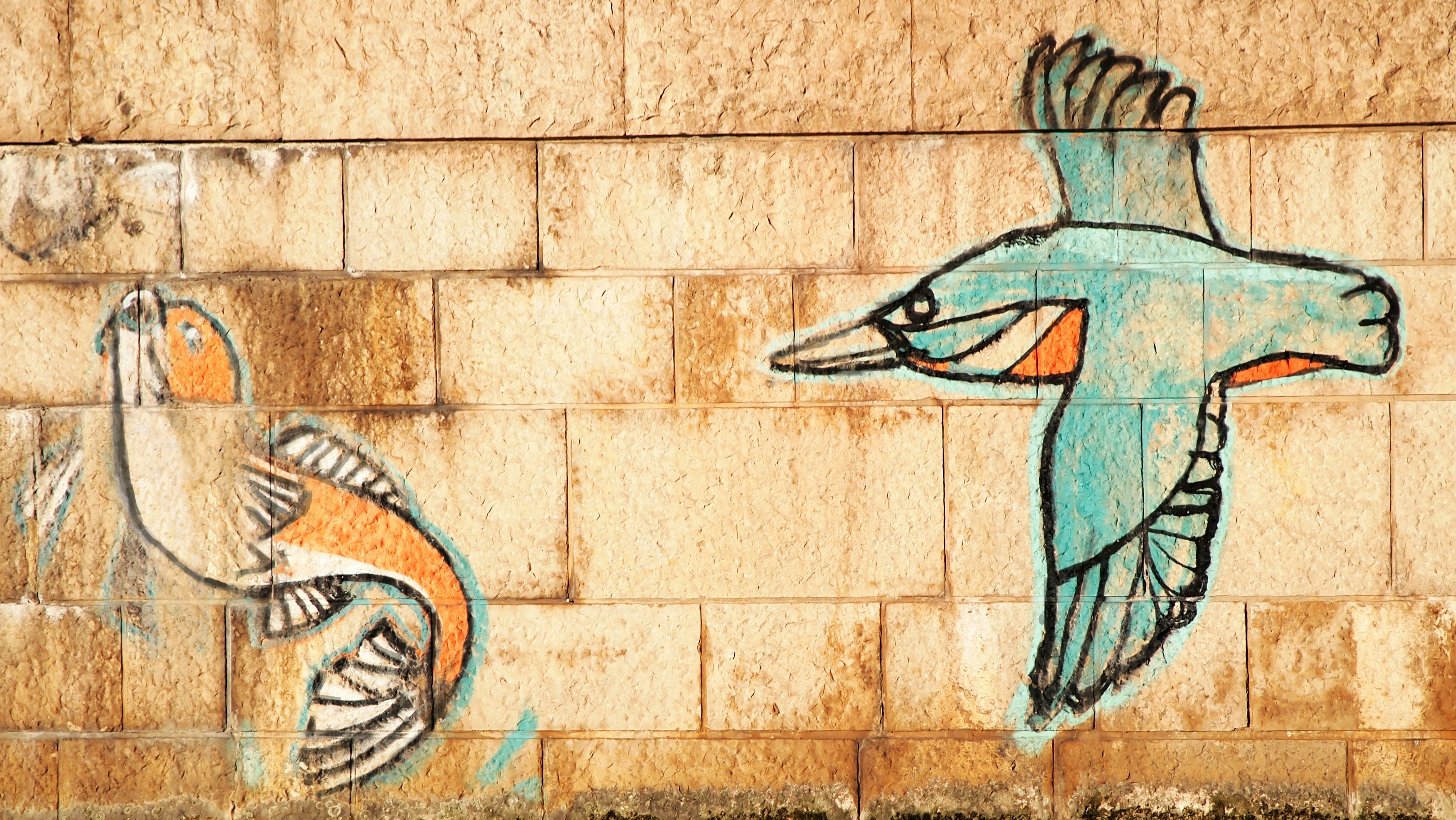 Turquoise Seabird in Flight Across a Sun-Washed Brick Wall