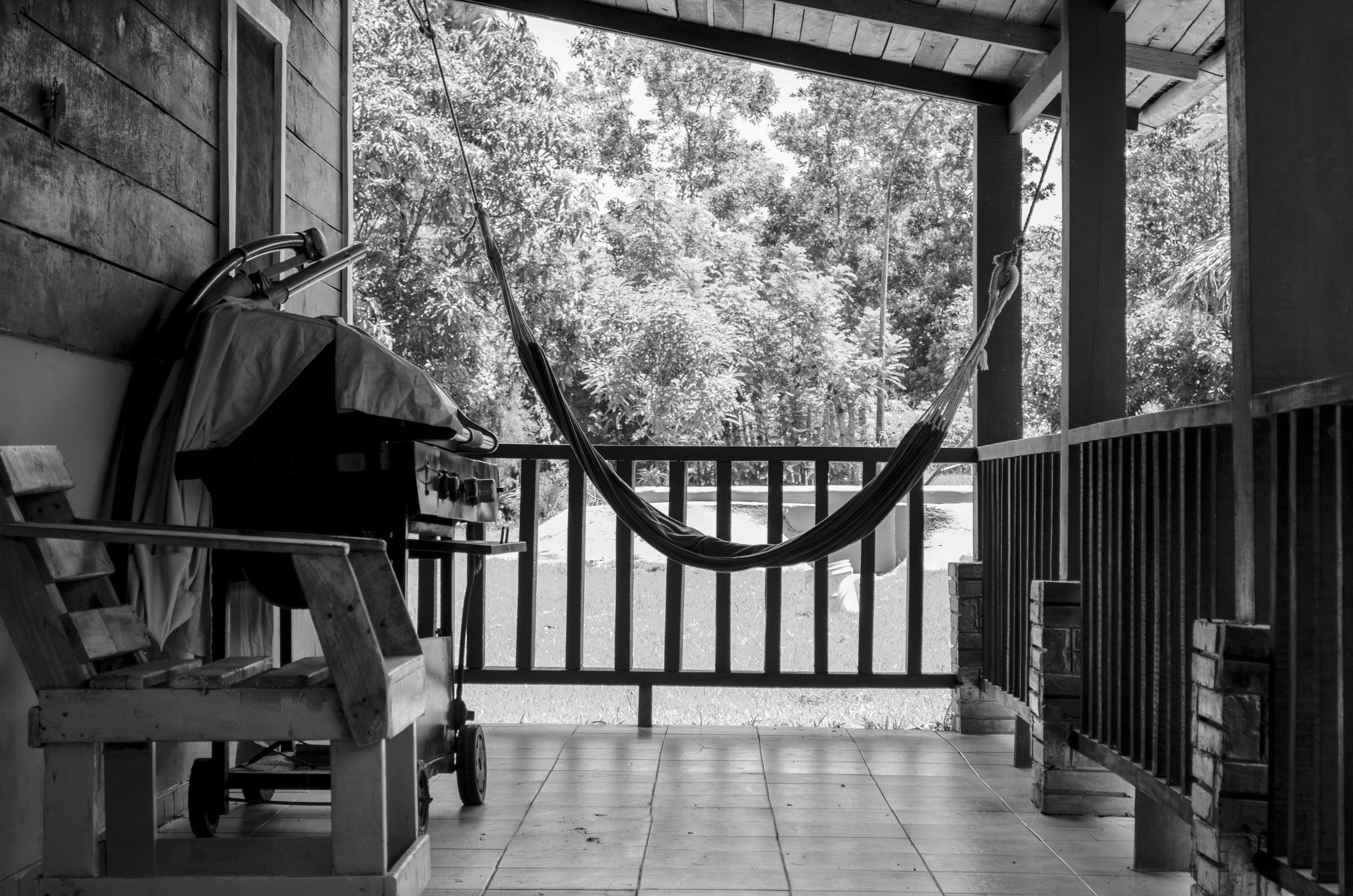 Hammock Horizon on a Quiet Monochrome Porch