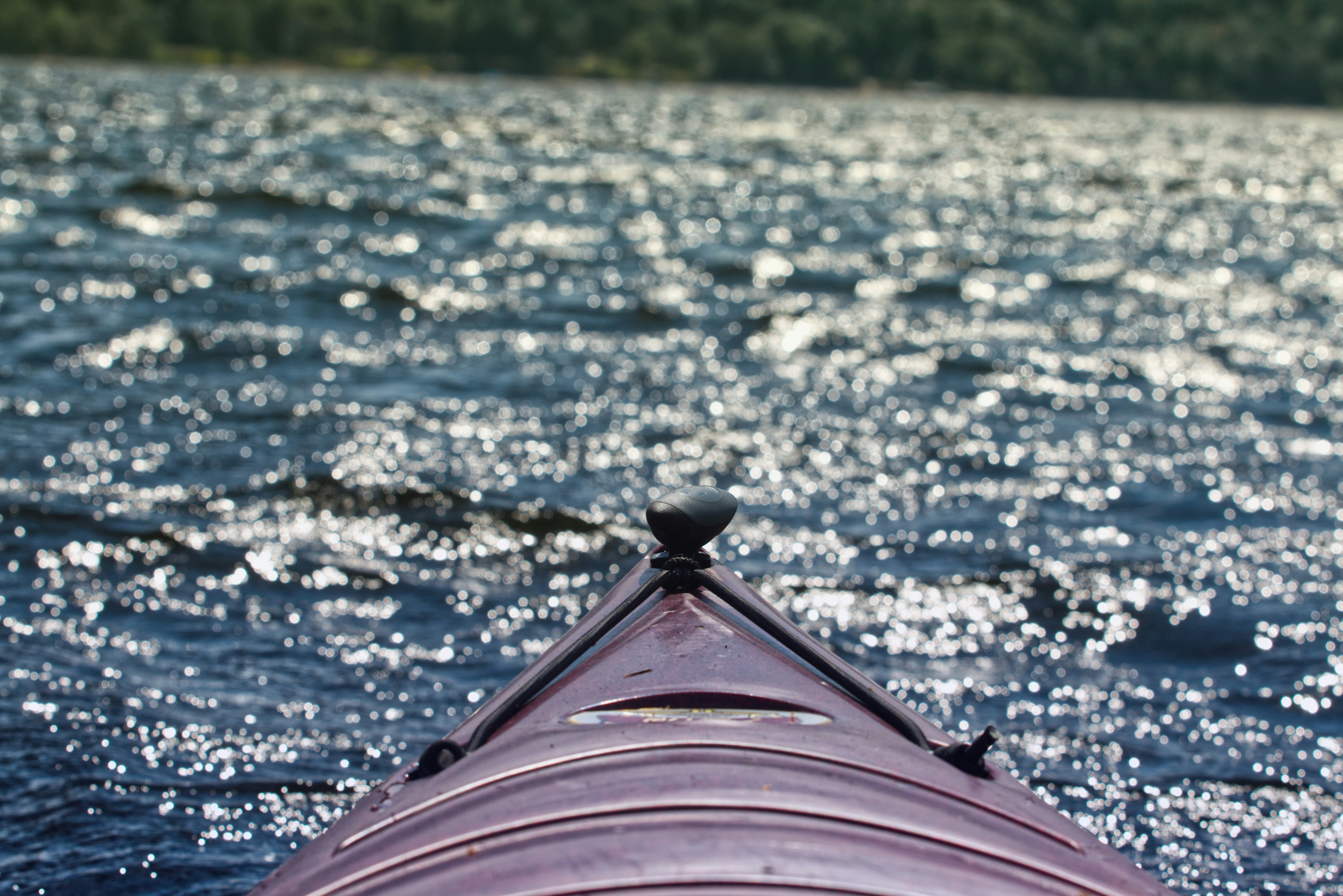 Front view of a kayak cutting through shimmering water, with sunlight creating a sparkling effect on the surface. The lush greenery in the background adds depth to the scene.