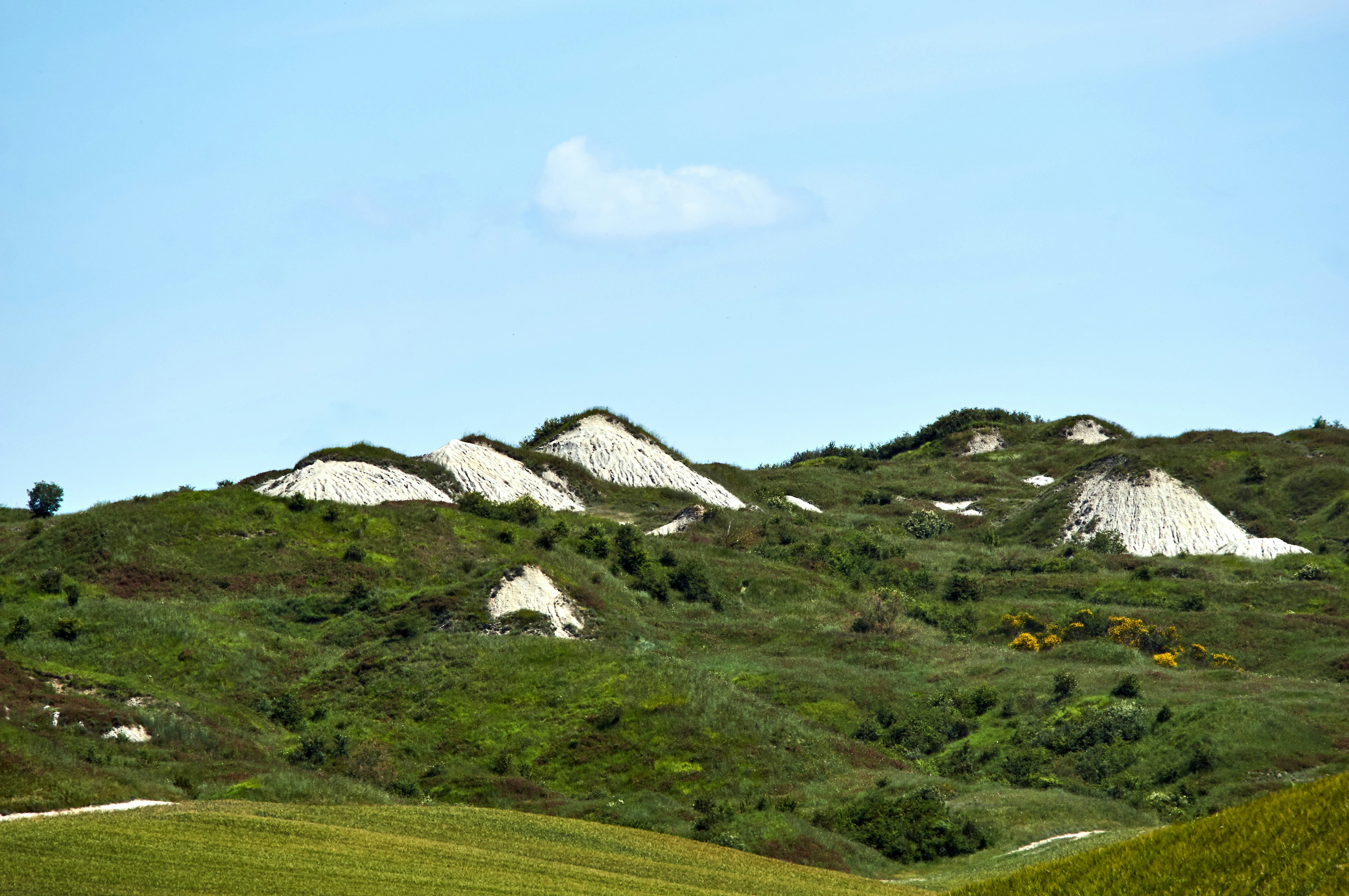 Chalk Ridge Above the Verdant Moor