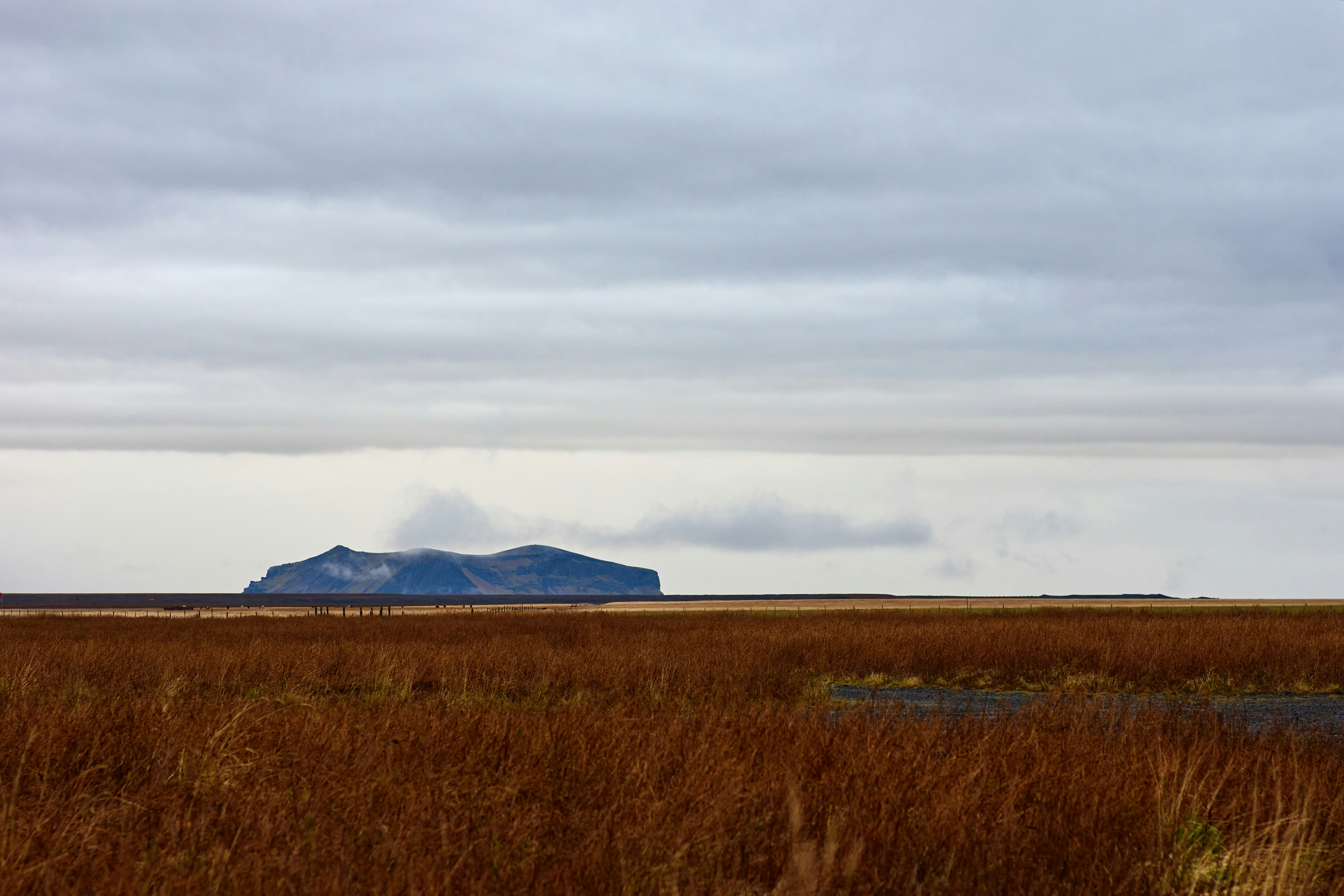 Foto zum Thema Ein großes Feld mit einem Berg in der Ferne ...