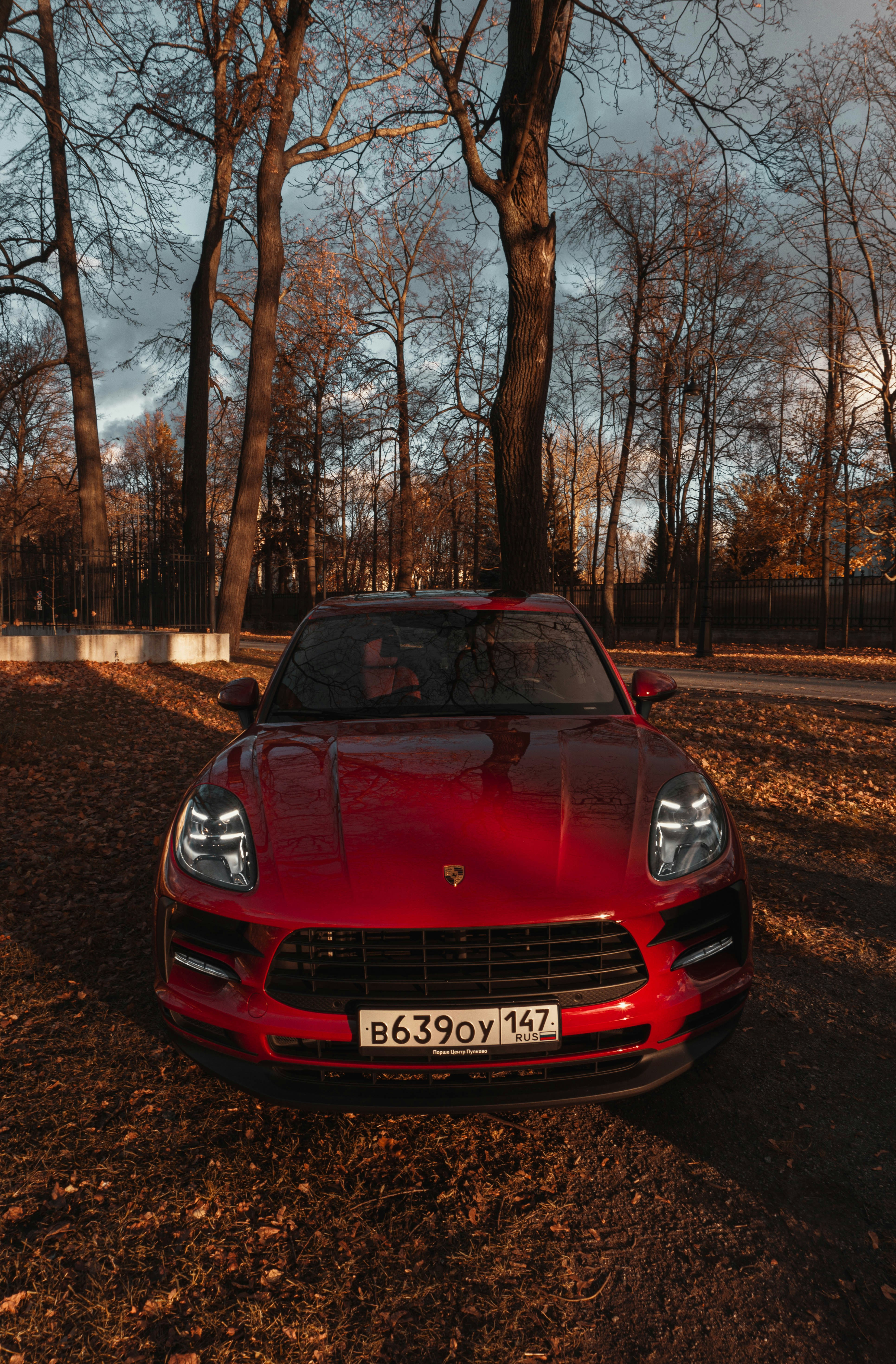 Red Porsche Emerges from Autumn Shadows