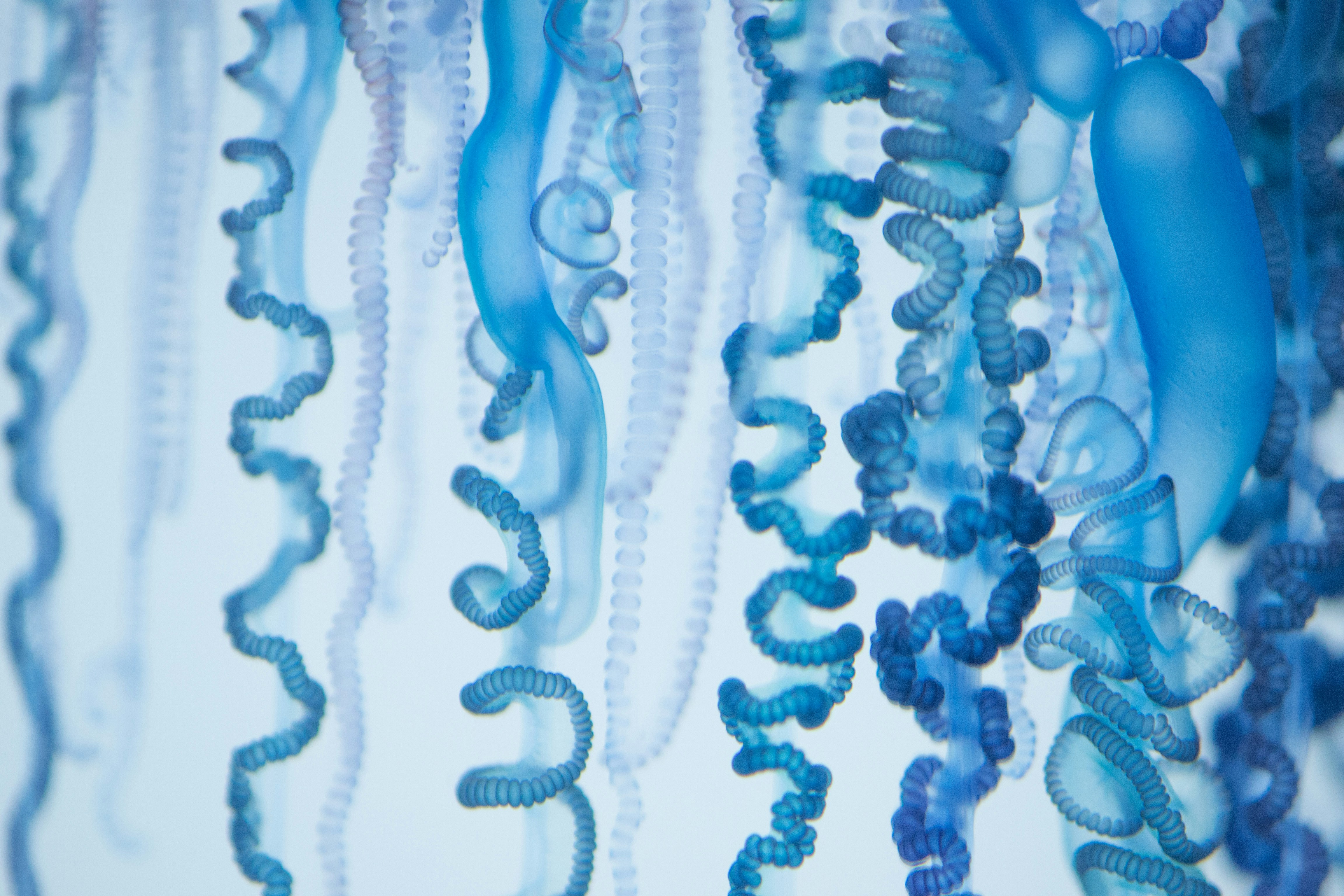 Cerulean Spirals: A Kinetic Tapestry of Jelly Tentacles