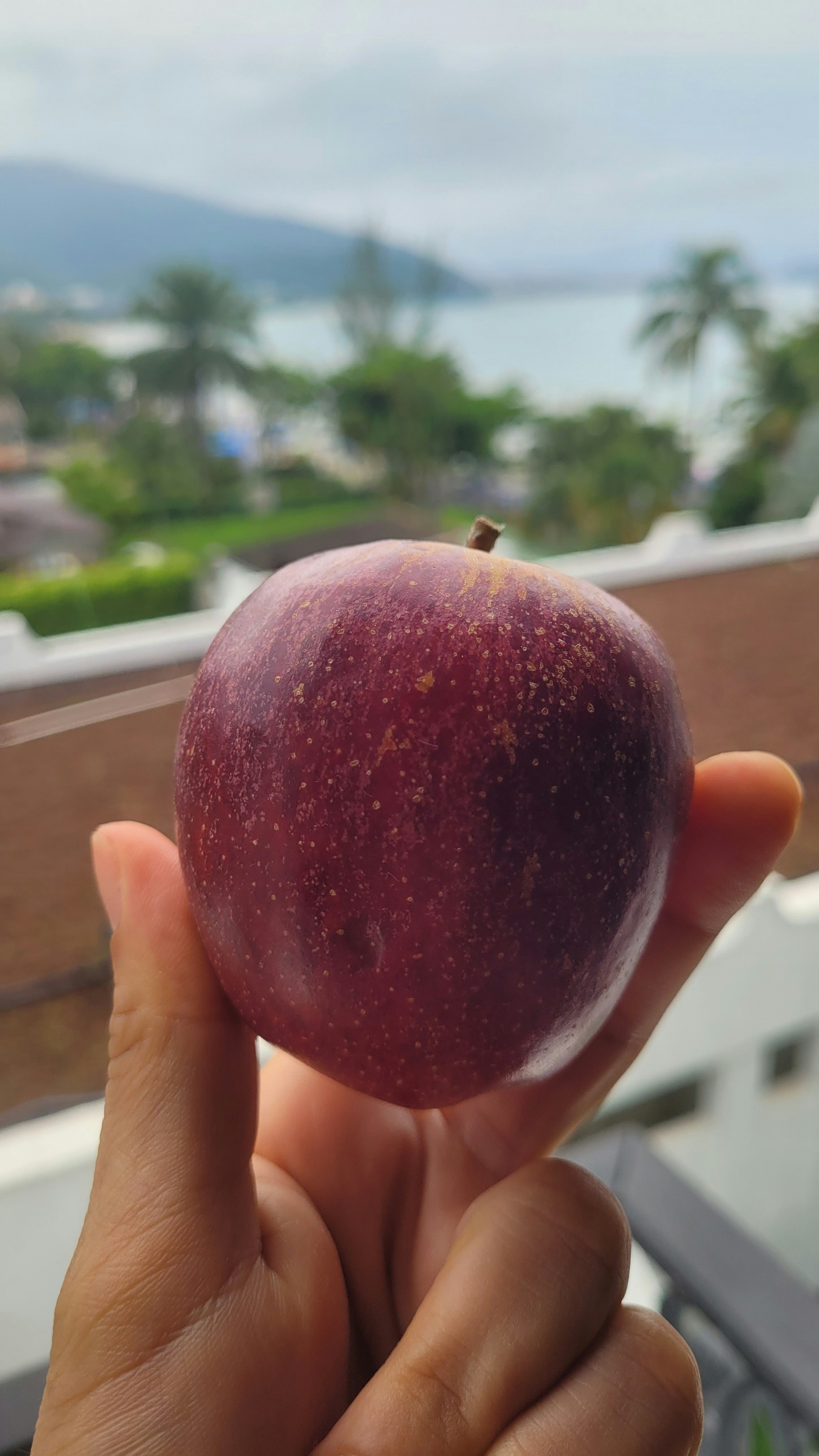 A Juicy Encounter: The Apple and Its Scenic Backdrop