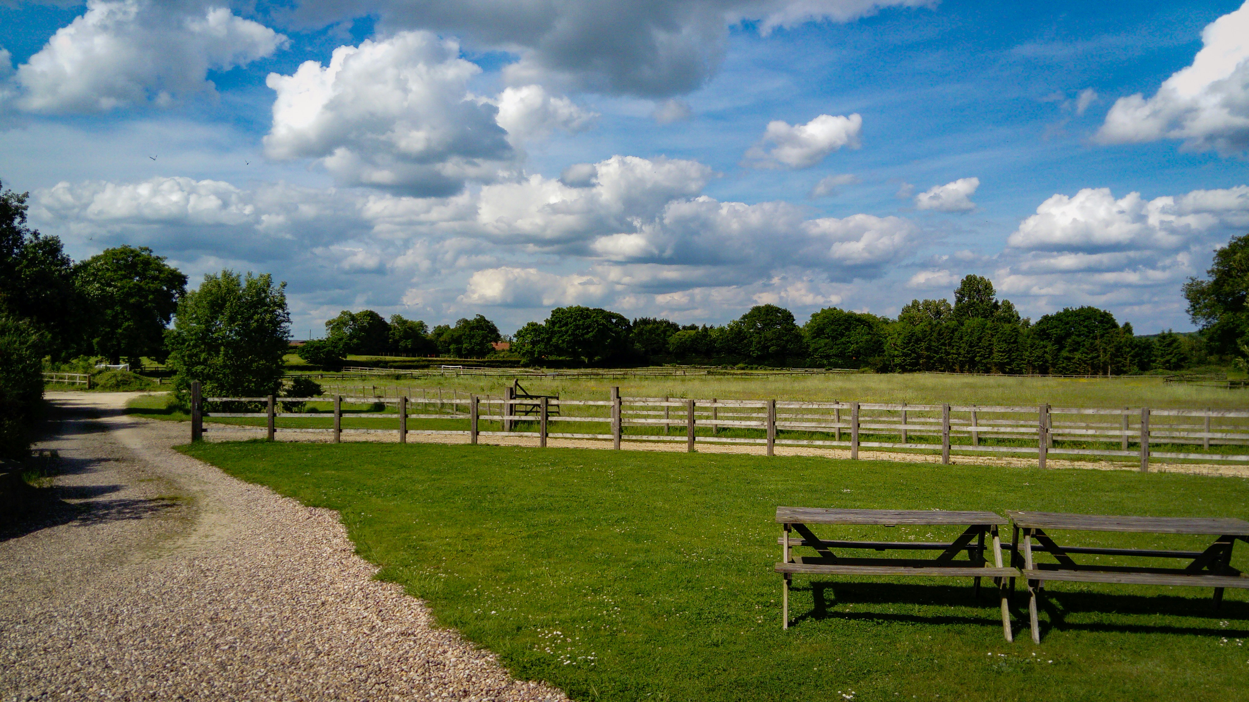 Picnic benches on a grassy field under a partly cloudy sky, bordered by a wooden fence and trees.