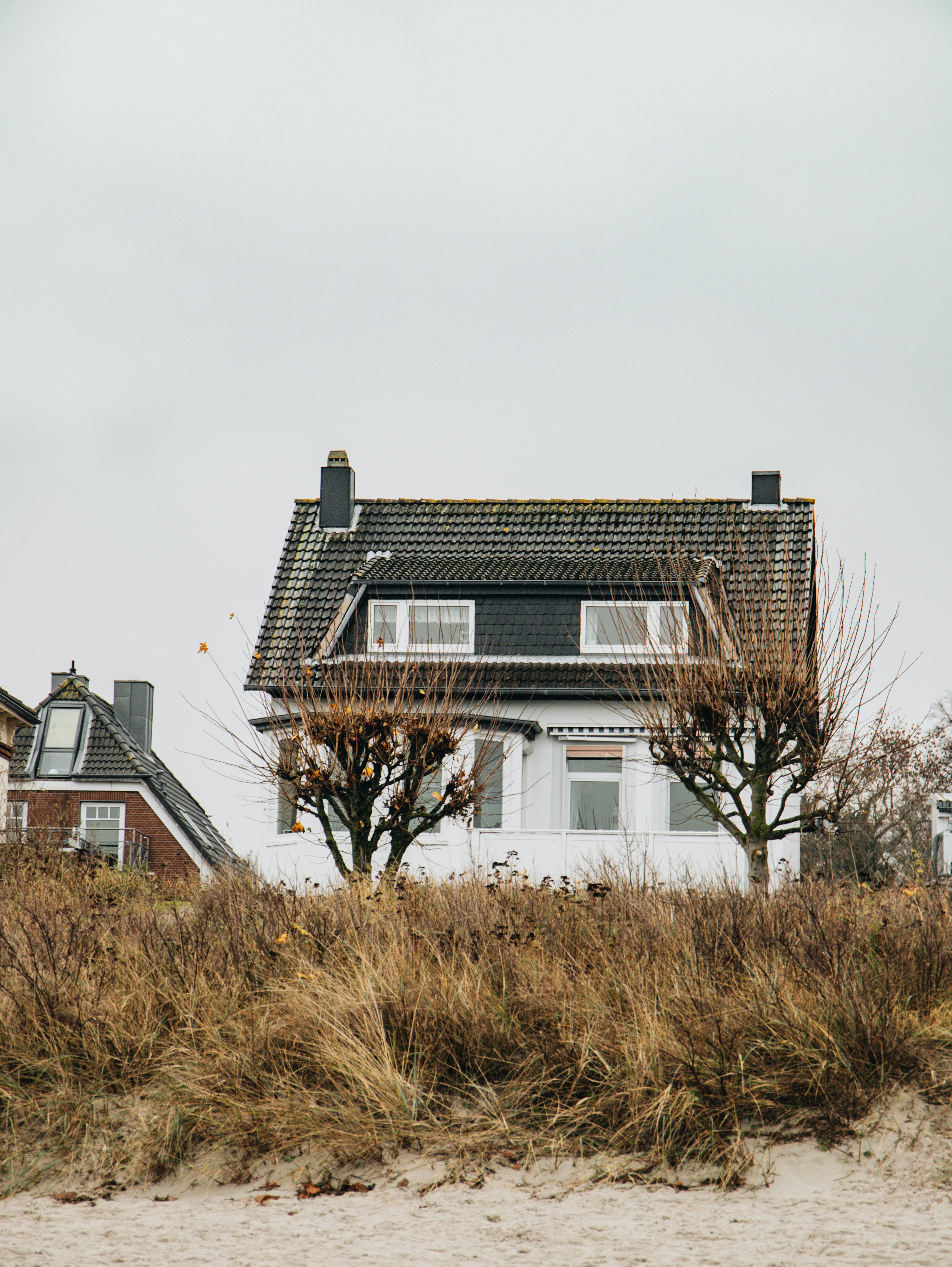 Coastal Cottage Framed by Dune Vegetation