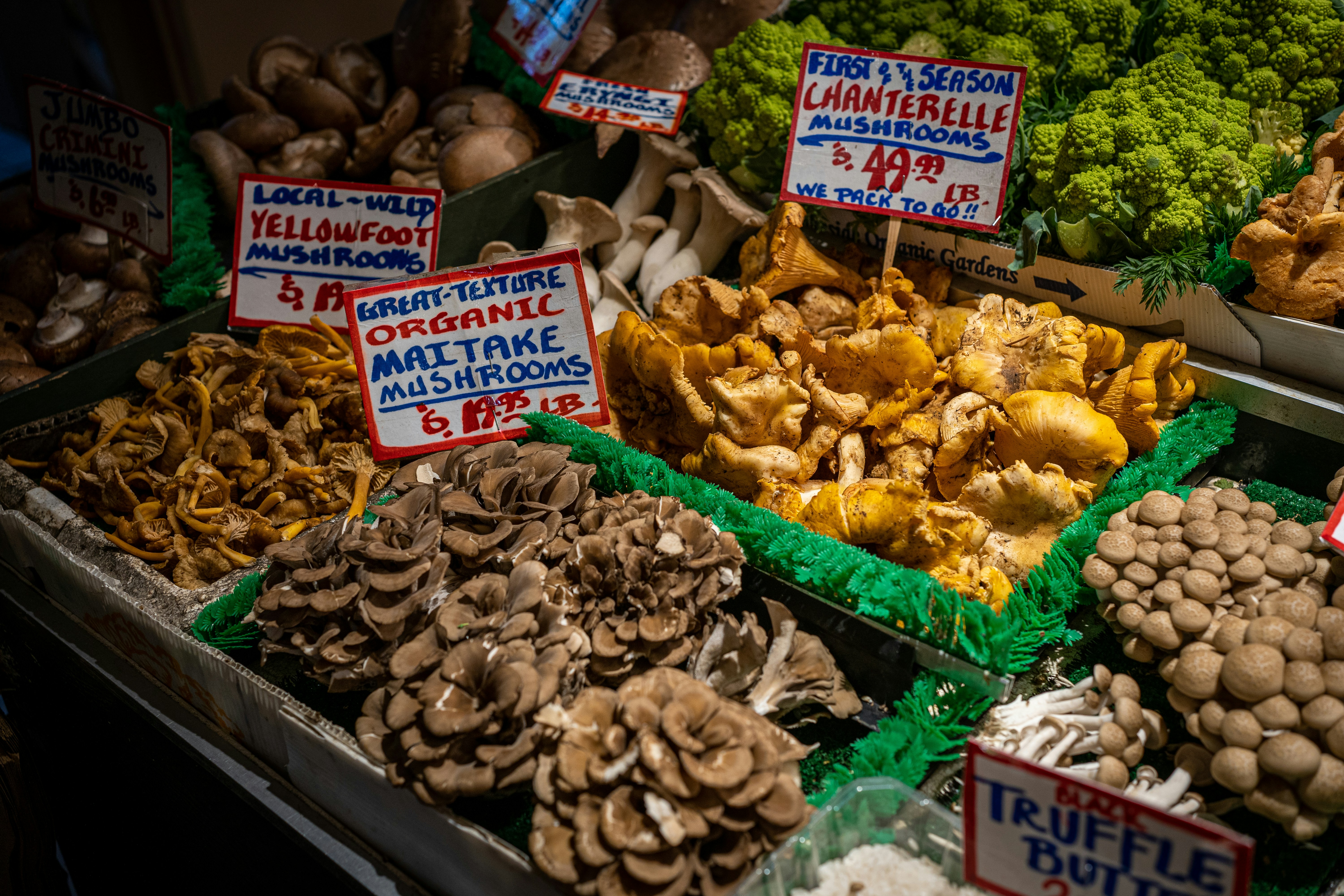 Mushroom Market Mosaic: A Textured Palette of Edibles