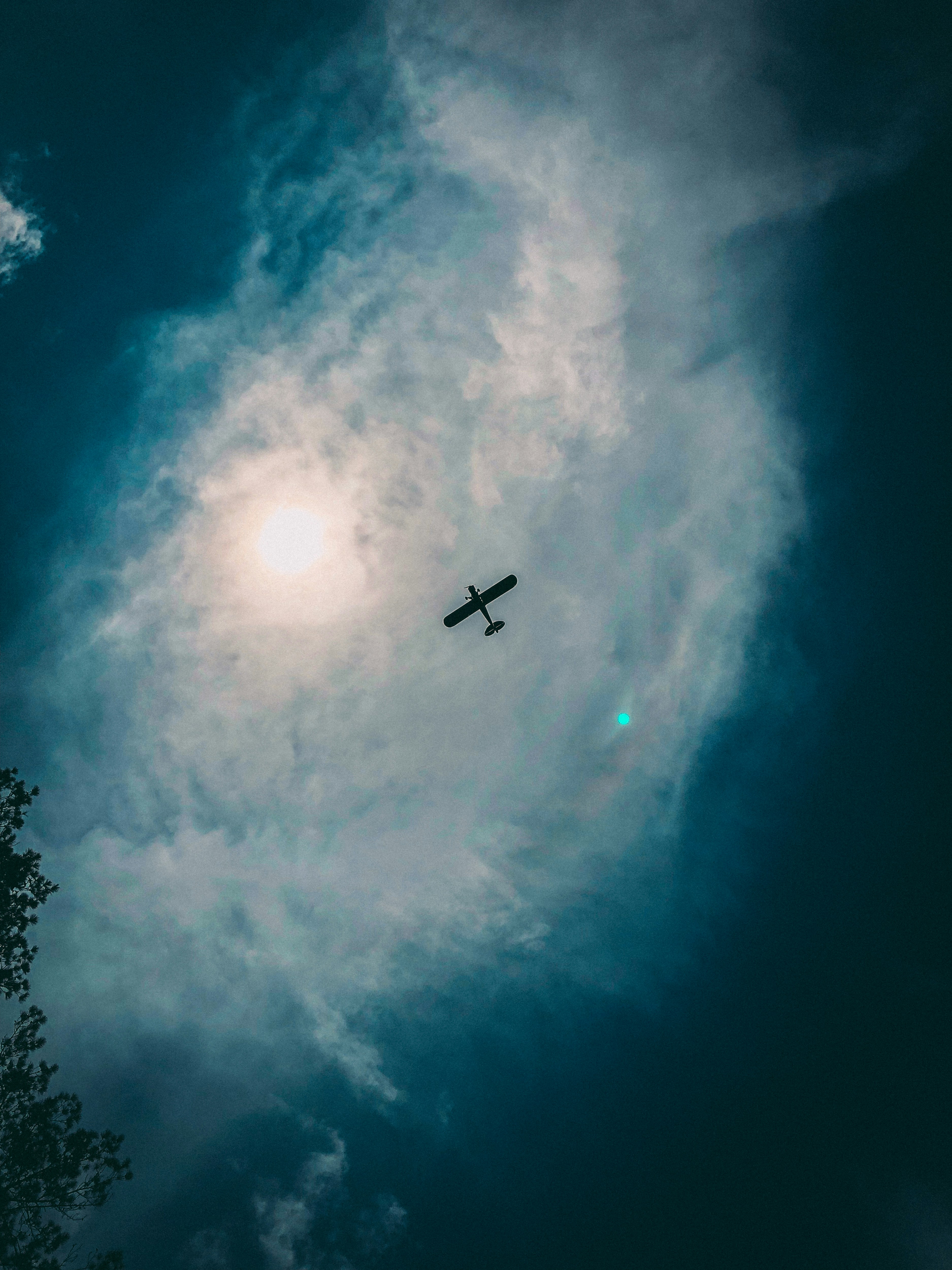 Soaring silhouette against a sunlit veil