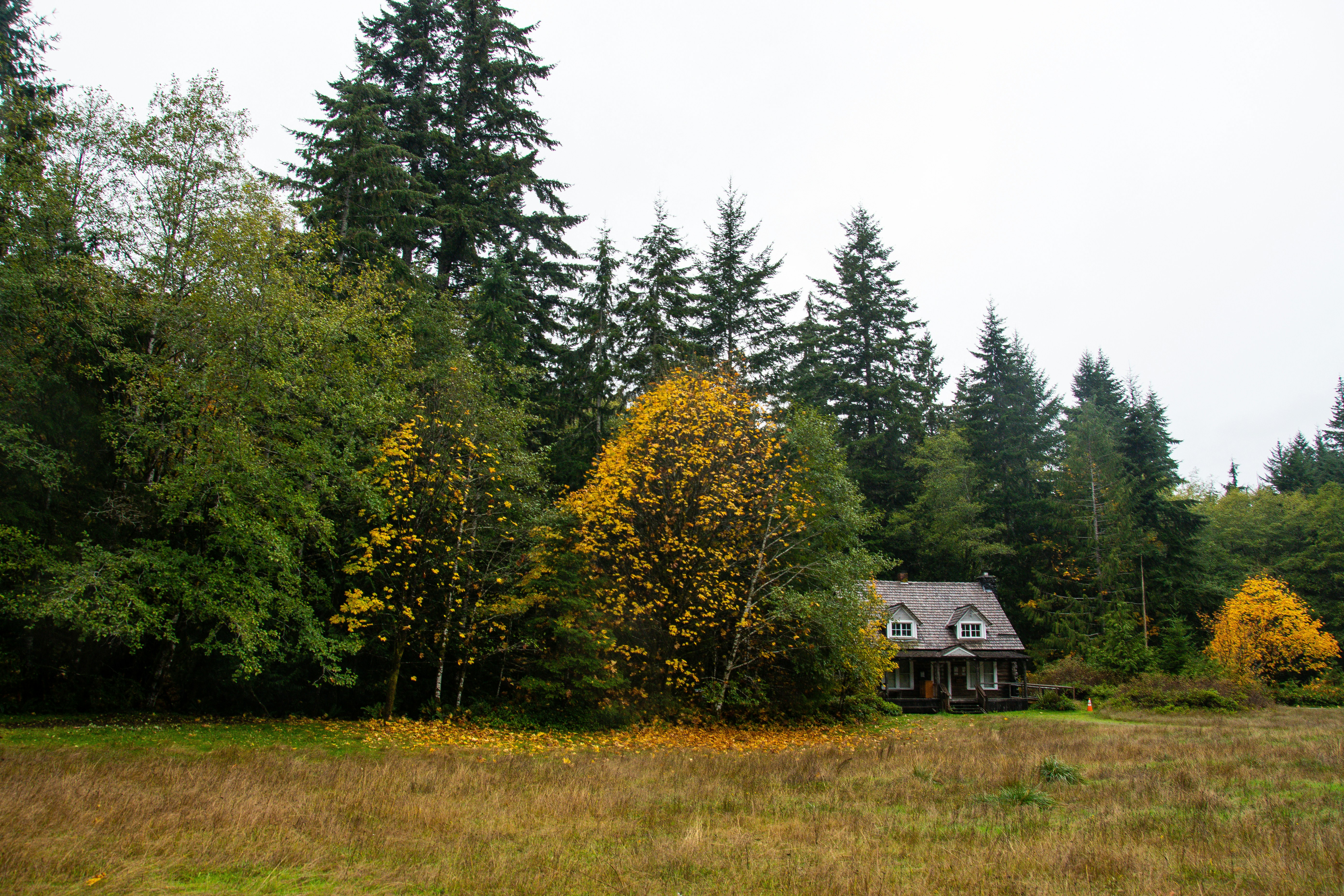 a house in the middle of a field surrounded by trees