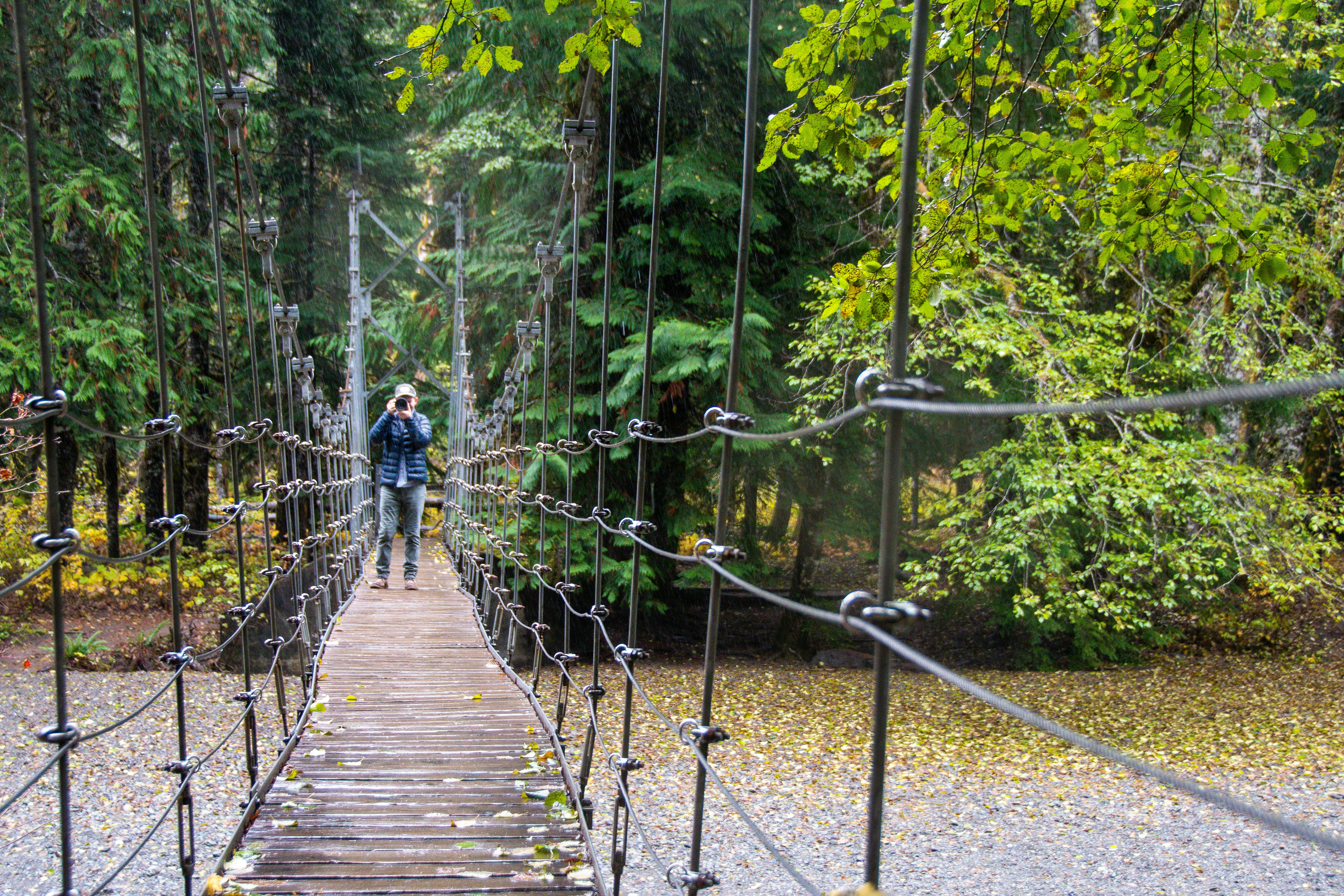 A person walking across a suspension bridge in a forest photo – Free ...