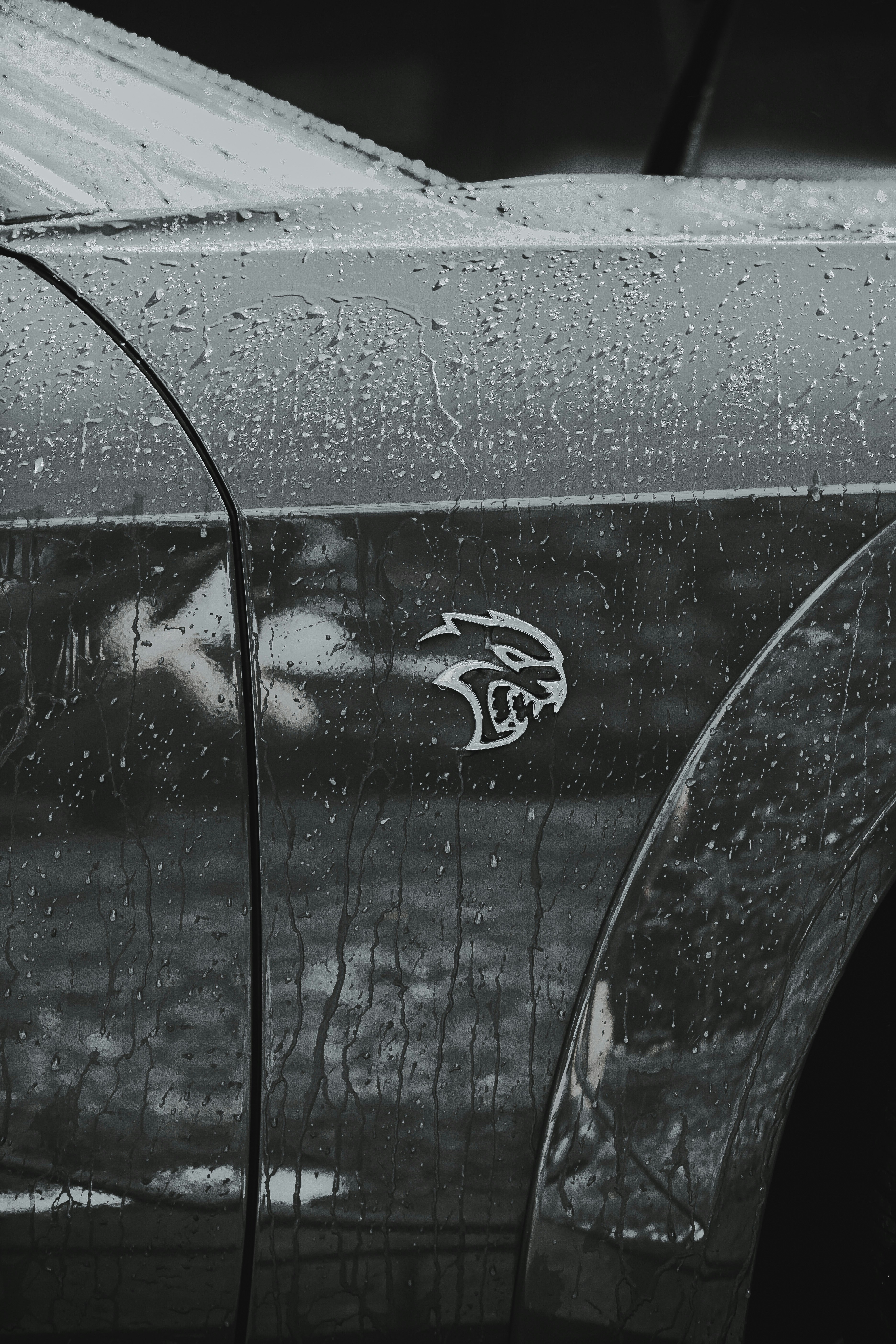 Close-up of a sleek car door featuring a prominent logo, with raindrops glistening on its surface. The image captures the essence of automotive elegance amidst a rainy backdrop.
