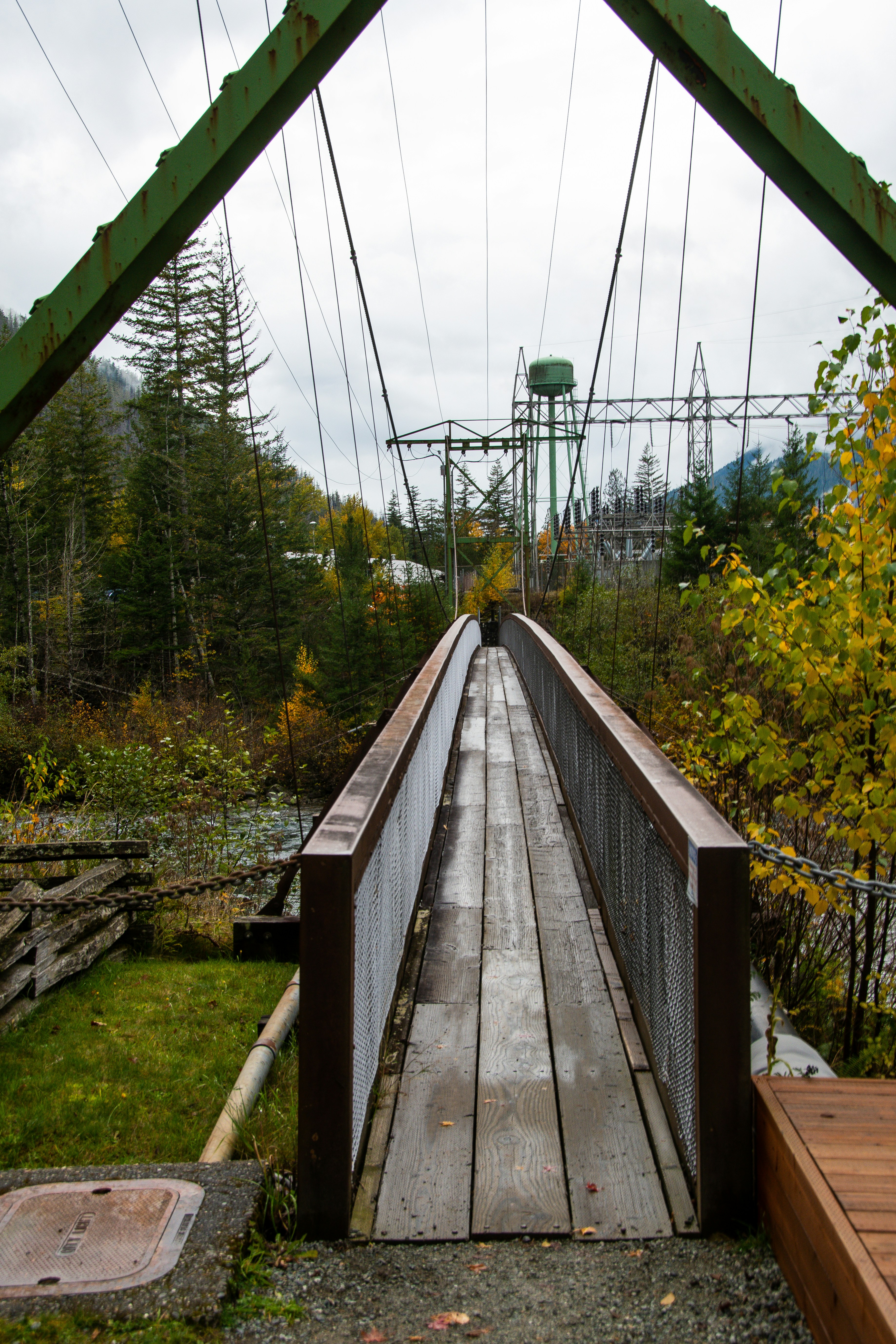 Vanishing Bridge: A Timber Path Through Fall's Quiet Wilderness