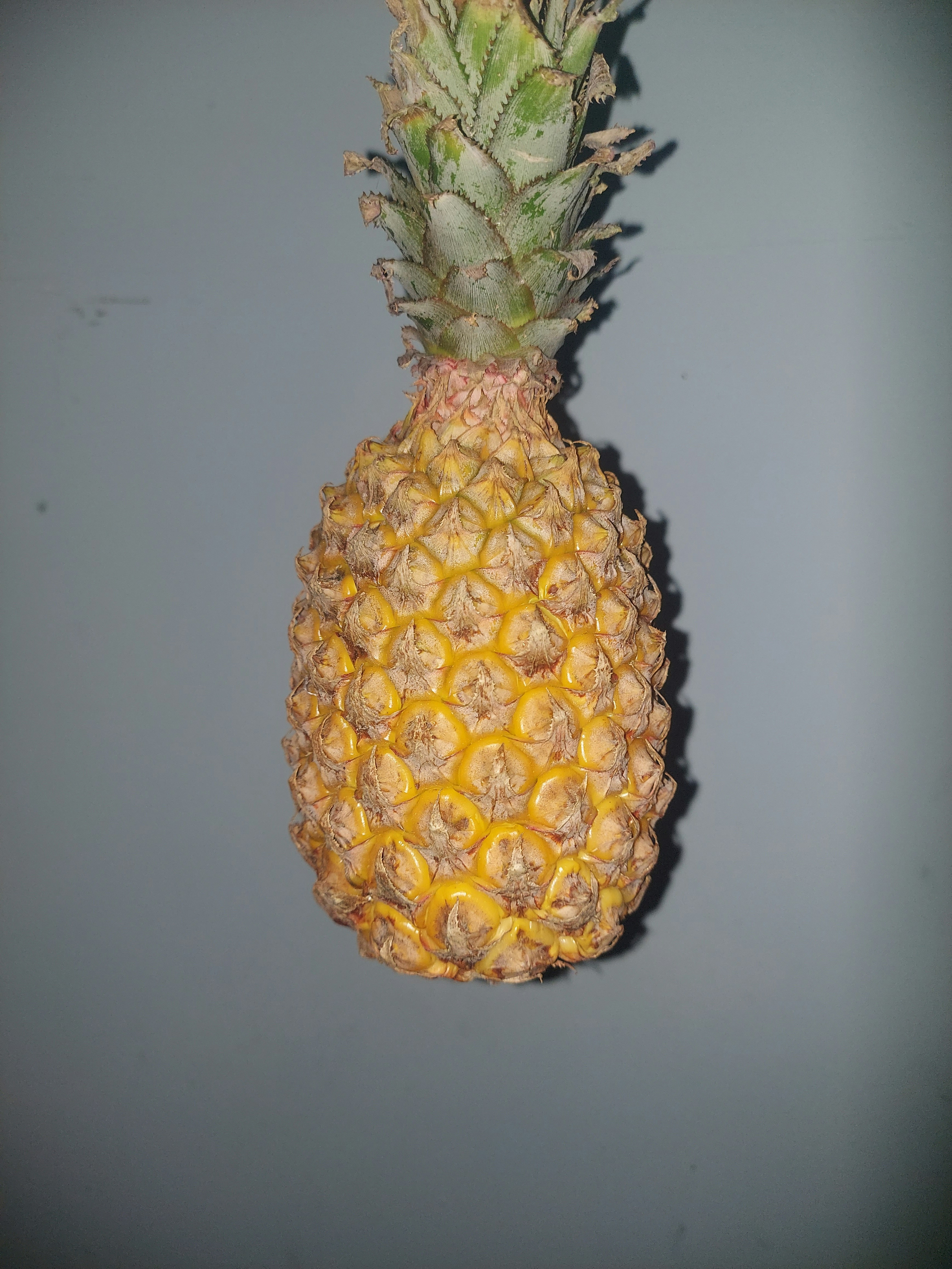 Texture in Gold: Pineapple Portrait Against a Quiet Gray Backdrop