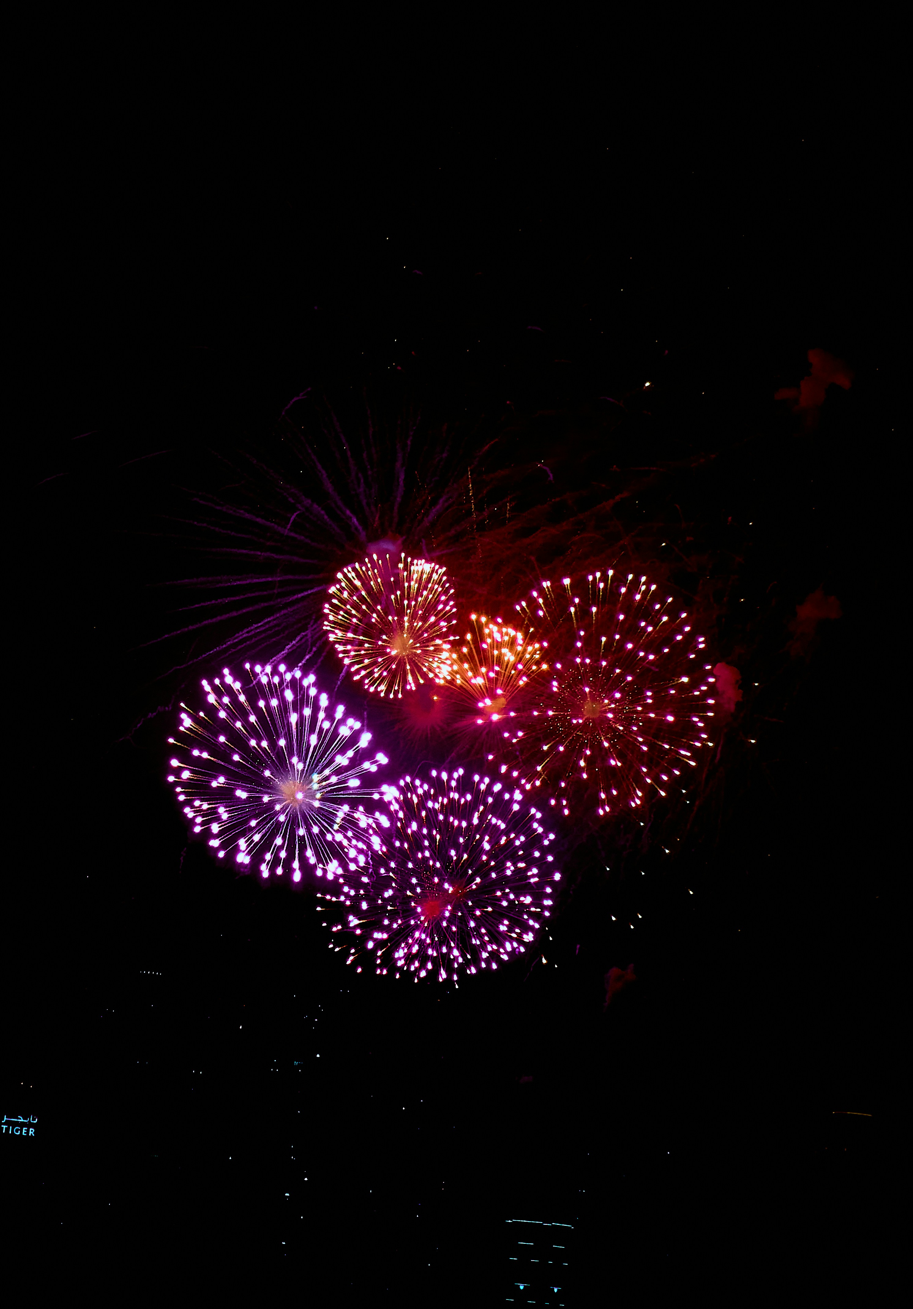 Vibrant fireworks burst in a kaleidoscope of colors against a dark night sky, showcasing intricate patterns and shapes.