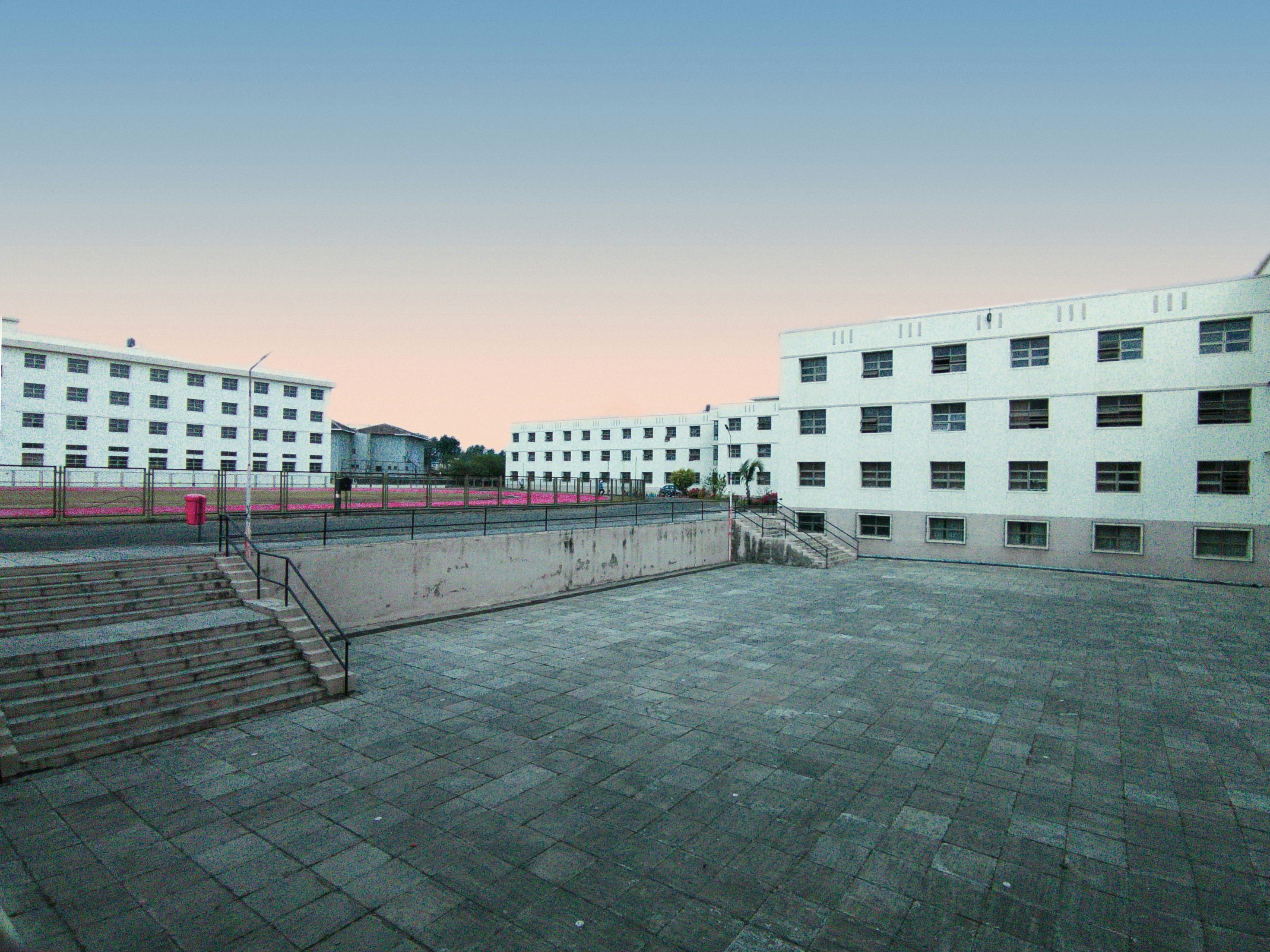 Sample photo from Vivo iQOO Z3