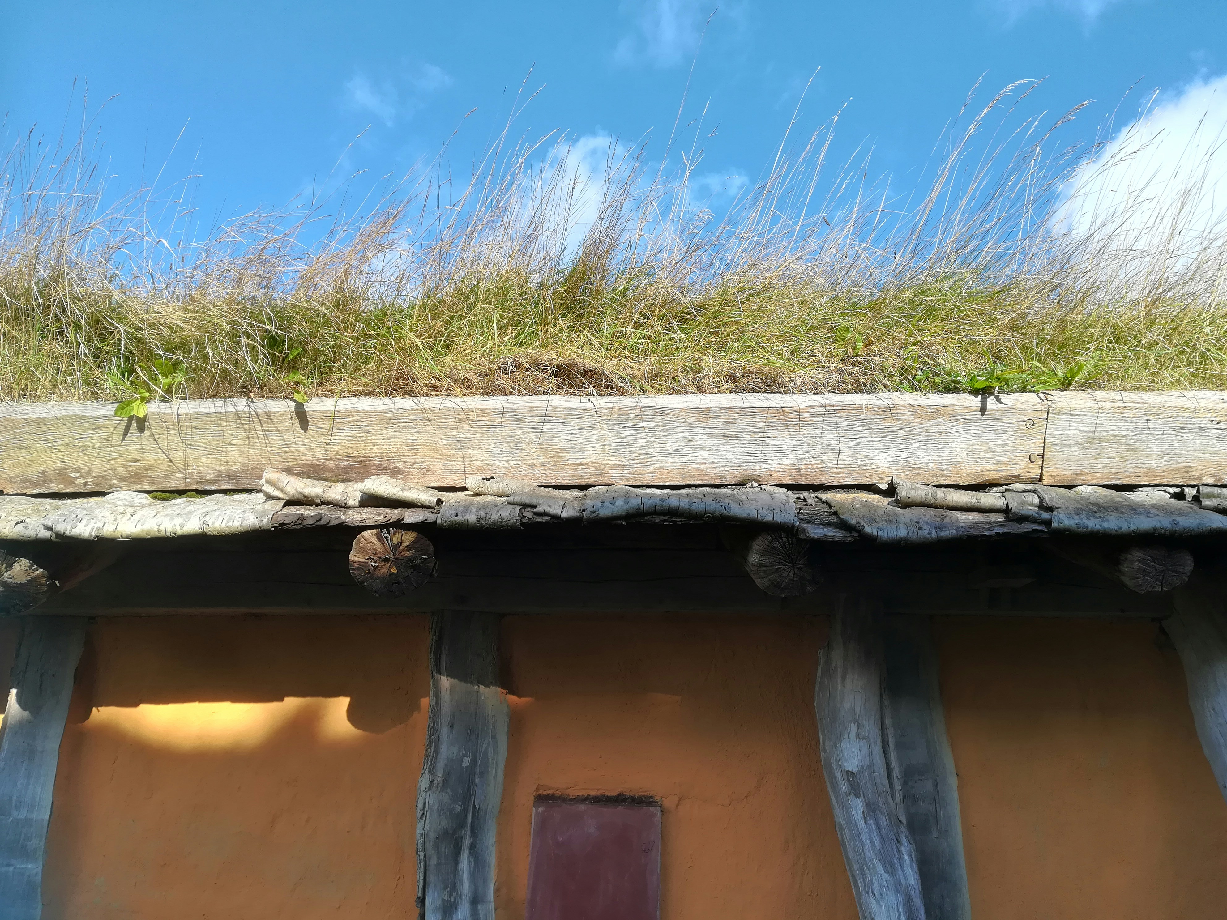 a roof with grass growing on top of it