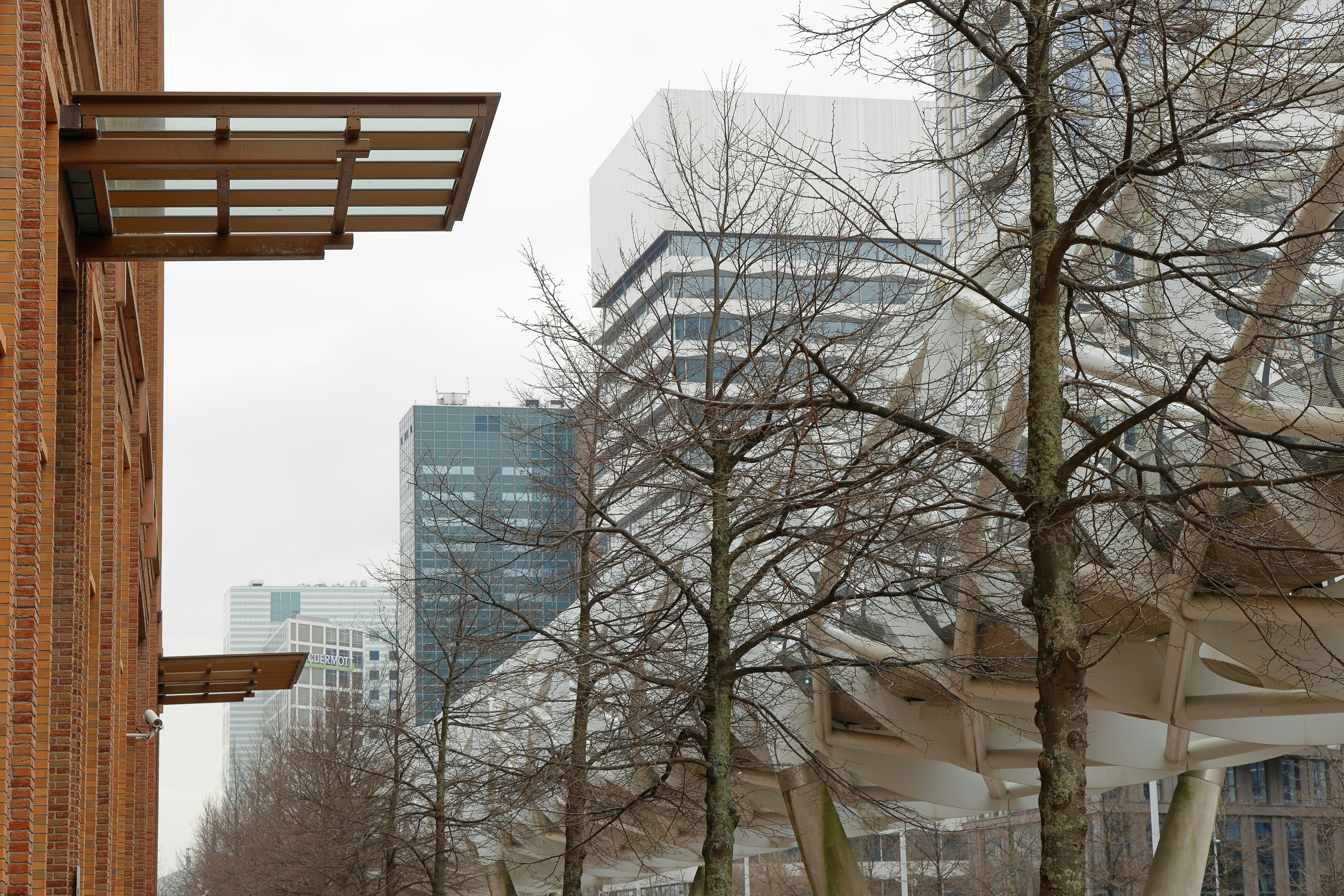 A view of a city with tall buildings in the background photo – Free Den ...