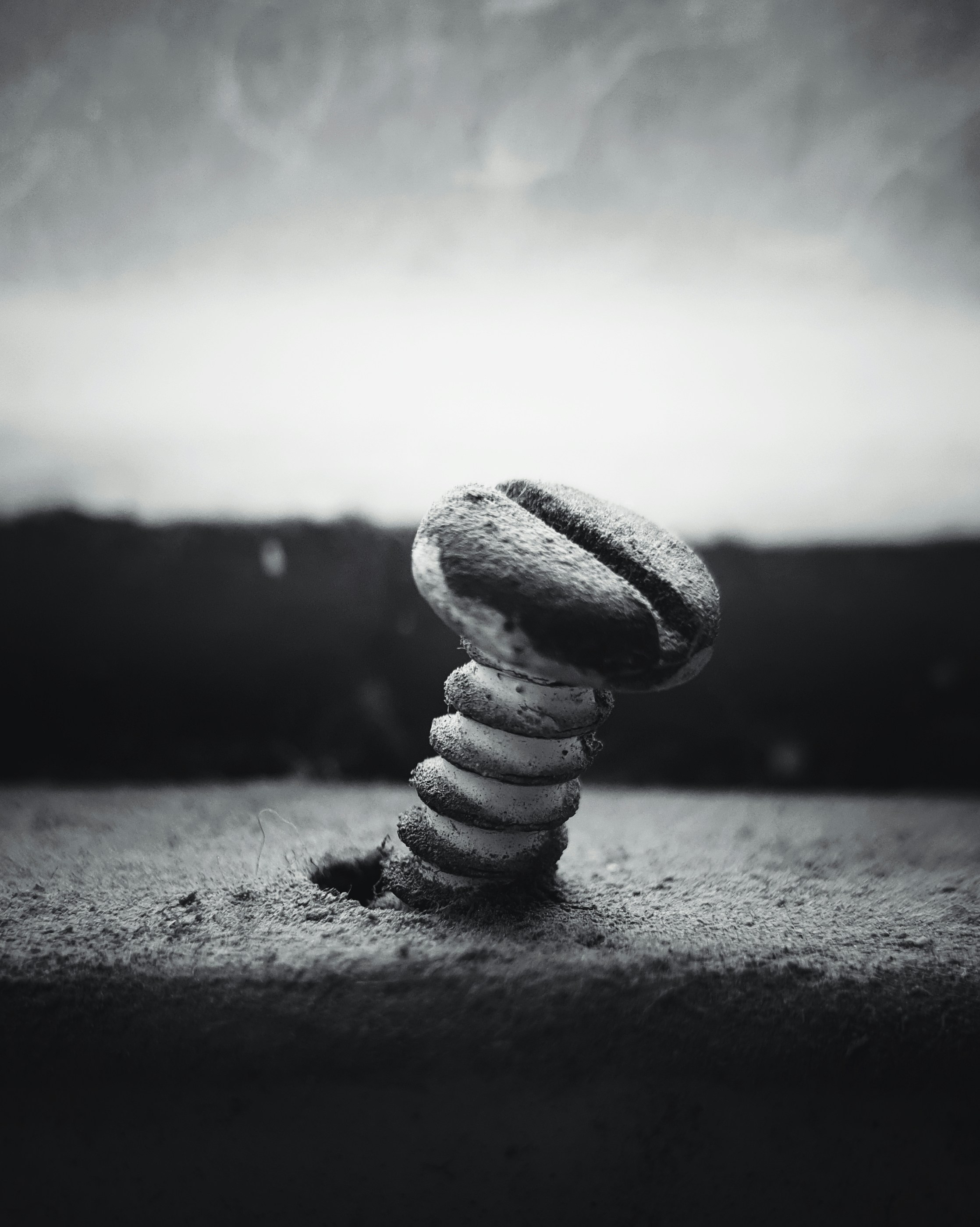Rusted Screw in Focus: A Mono Moment of Quiet Gridlock