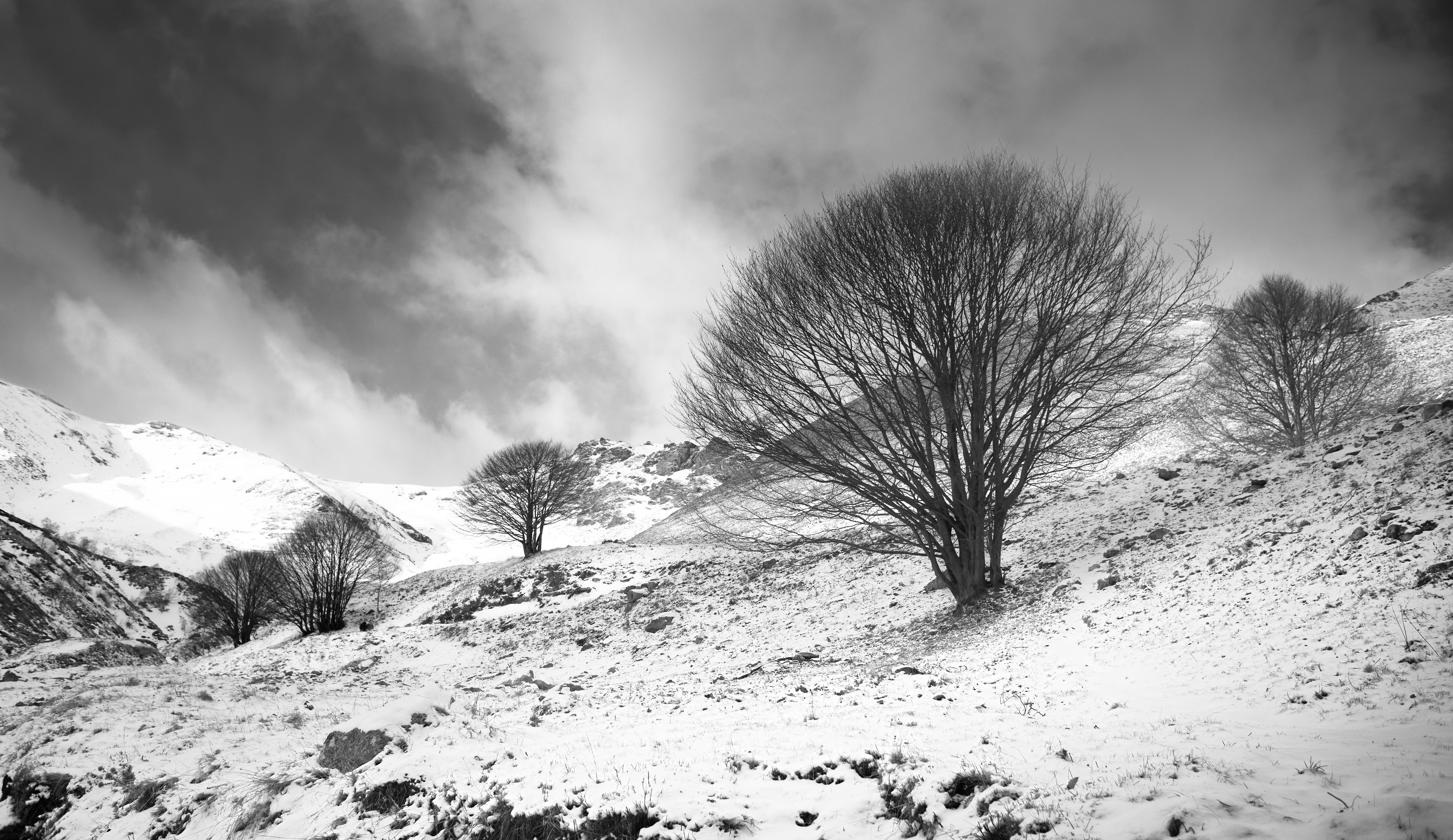 Bare trees stand on a snow-covered hill under a dramatic cloudy sky.