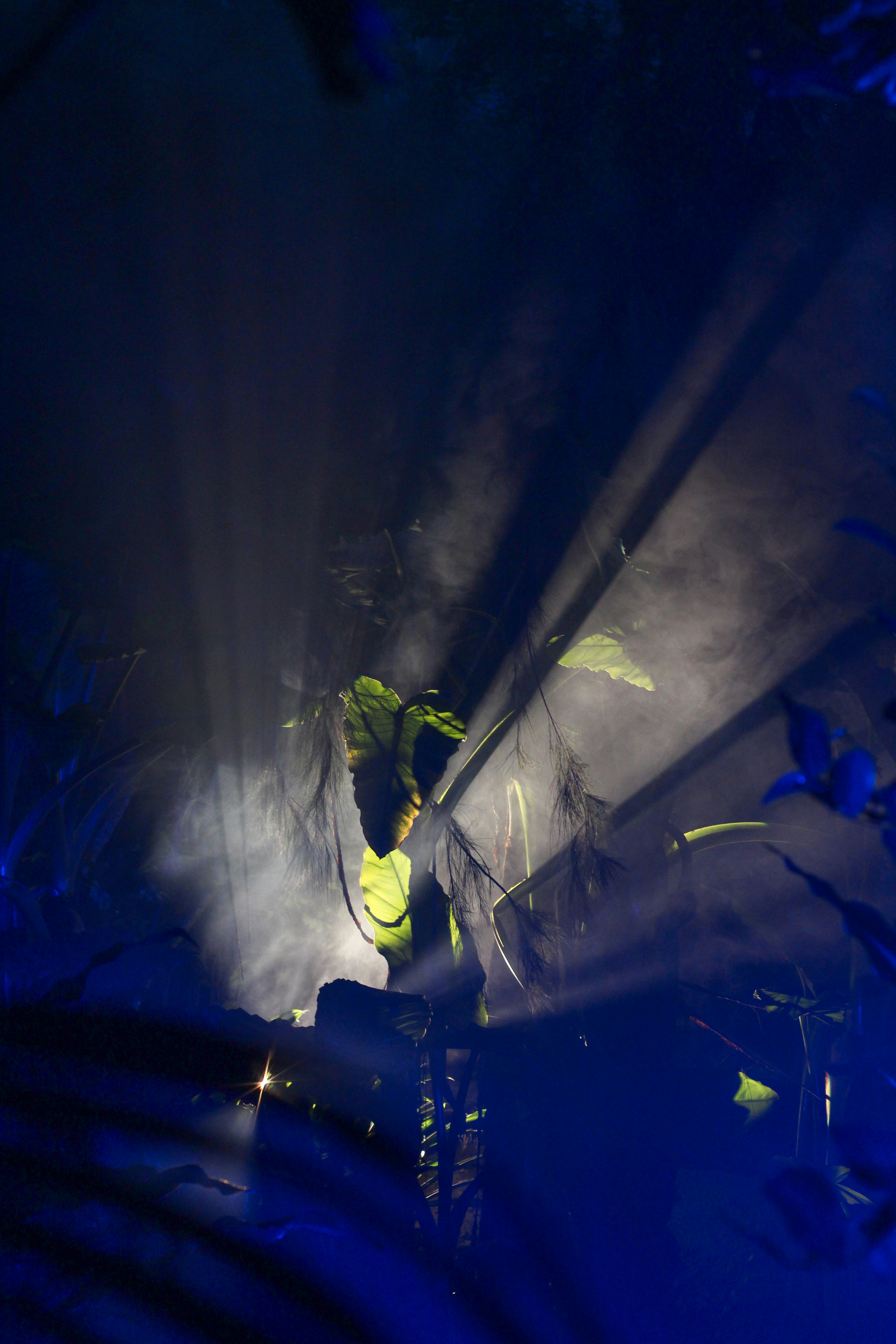 Backlit Canopy: Neon Beams Through a Moonlit Jungle