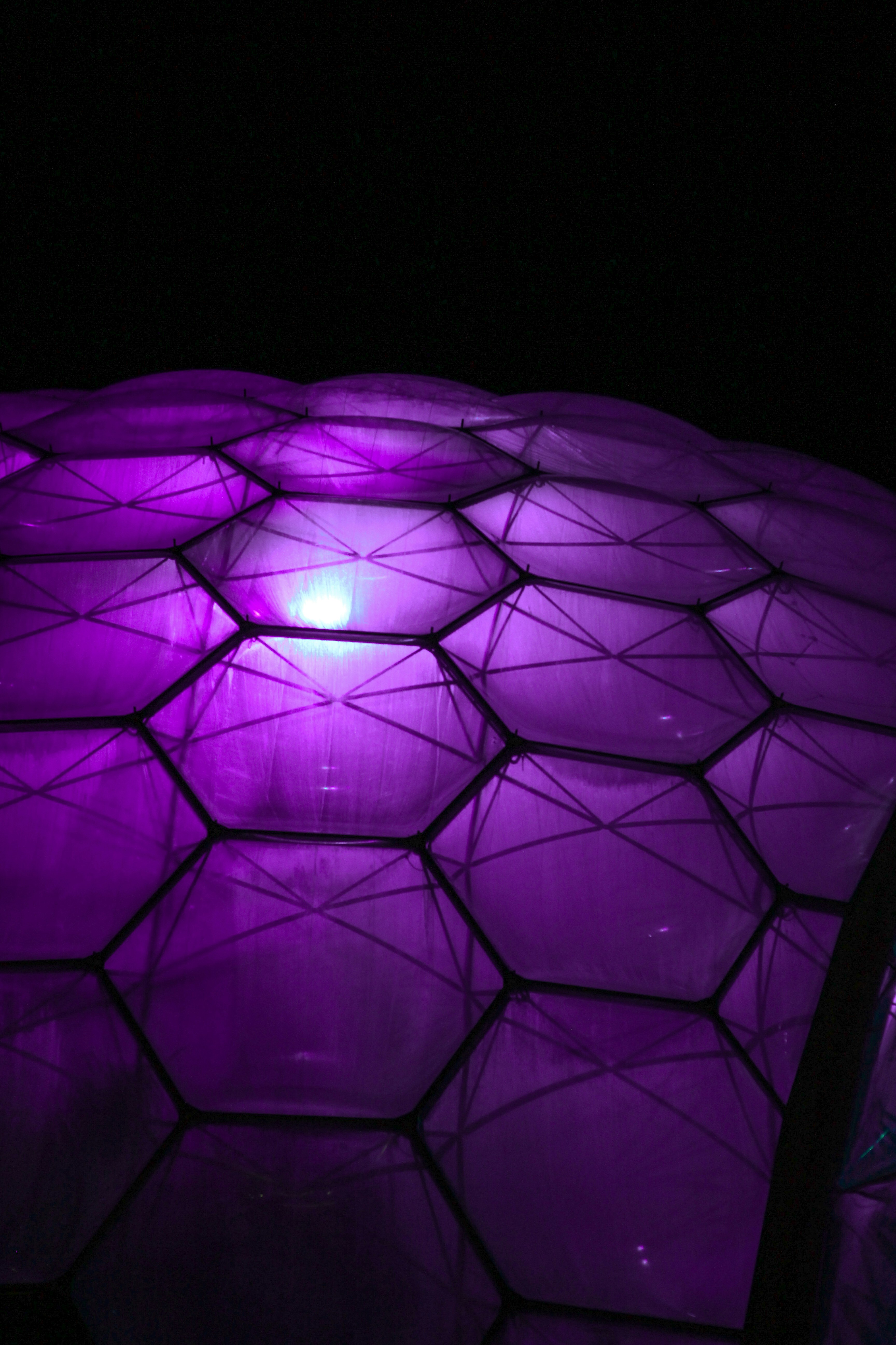 Top 10 Amazing Facts about the Eden Project - Discover Walks Blog