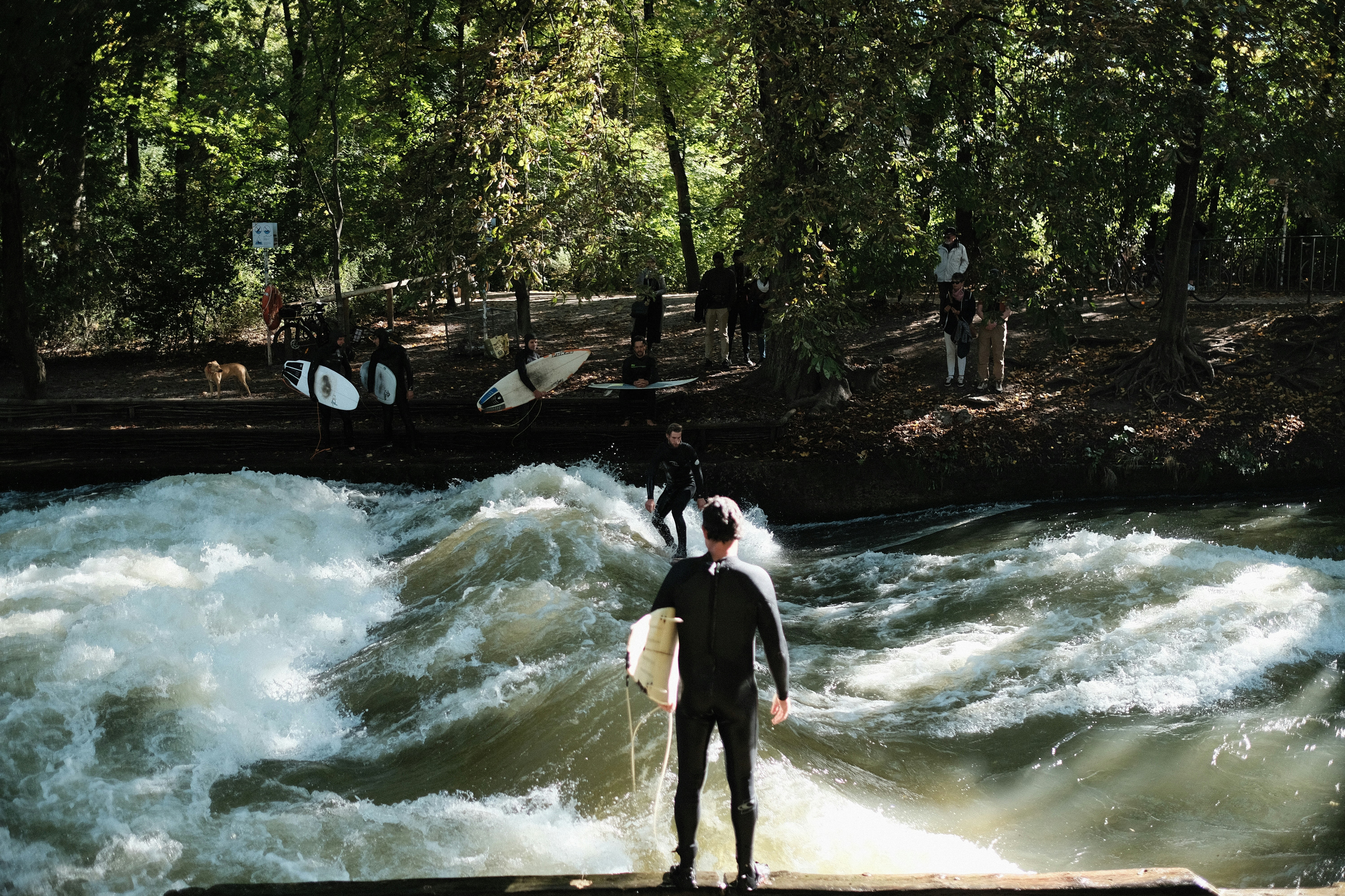 Surfers navigating a man-made wave in a park, surrounded by lush greenery and onlookers enjoying the scene.