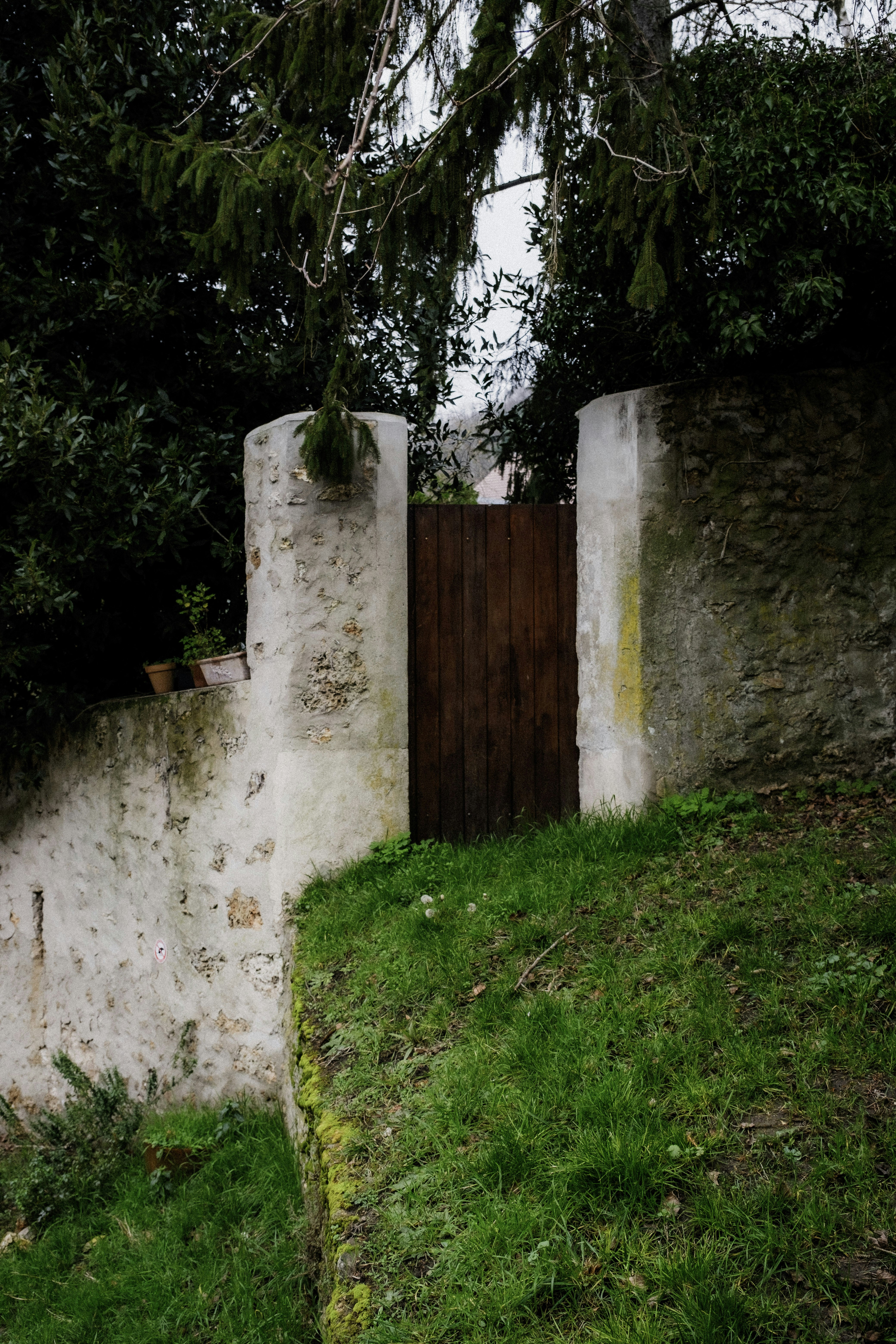 Threshold of Moss and Wood: The Gate Between Quiet Pillars