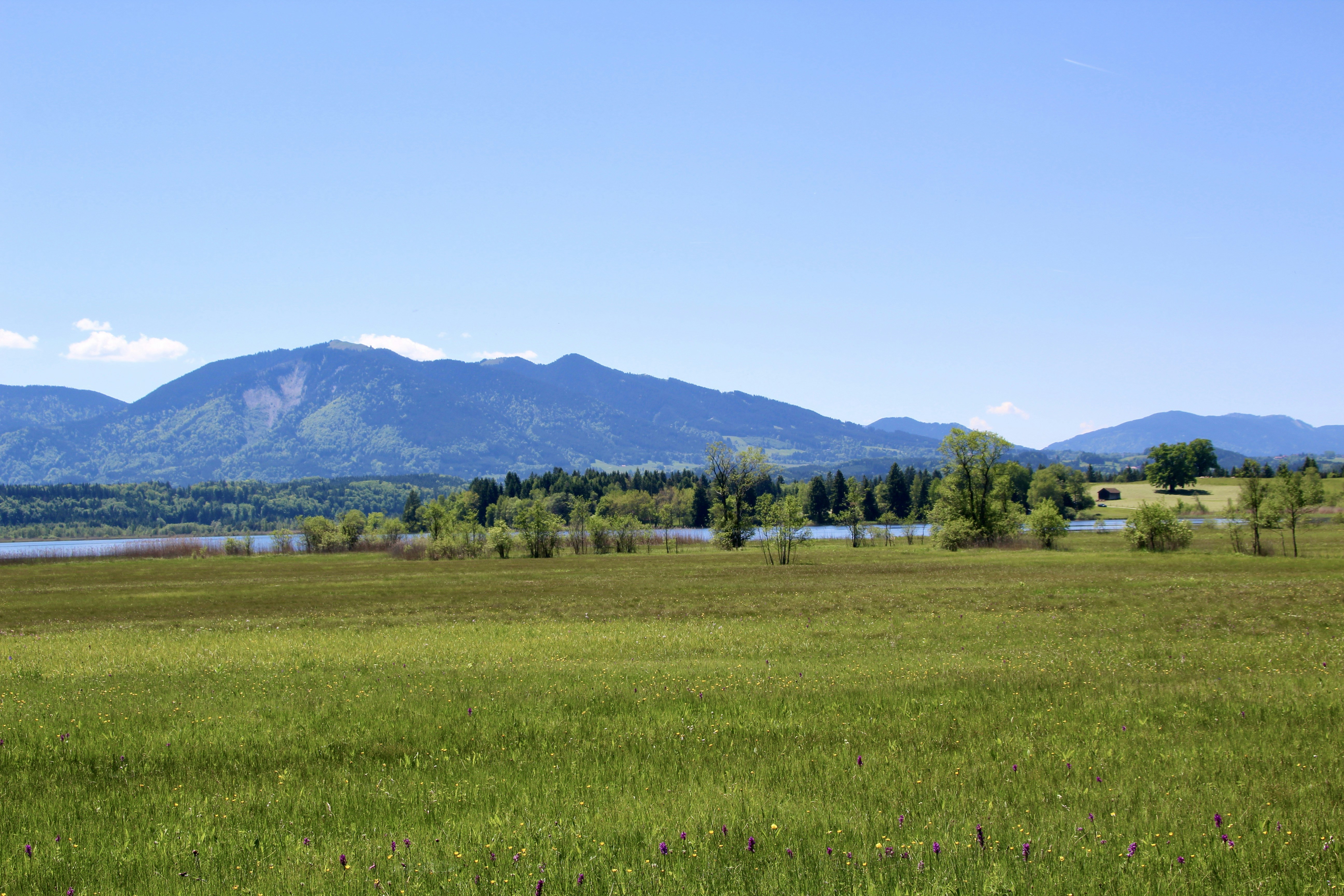 Lush green field stretches towards distant mountains under a clear blue sky, with a tranquil lake reflecting the scenery. 