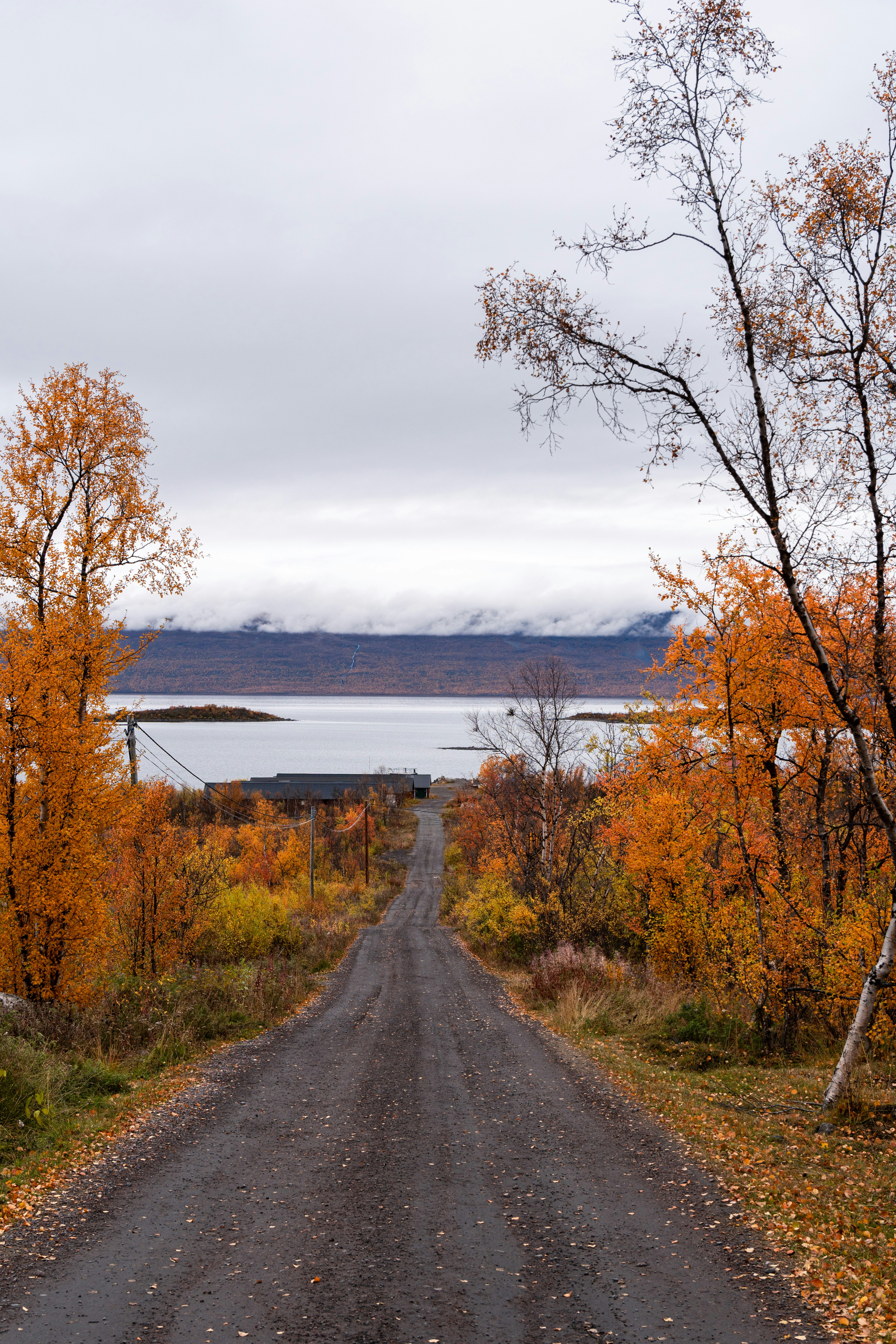 Autumn Road to the Lake