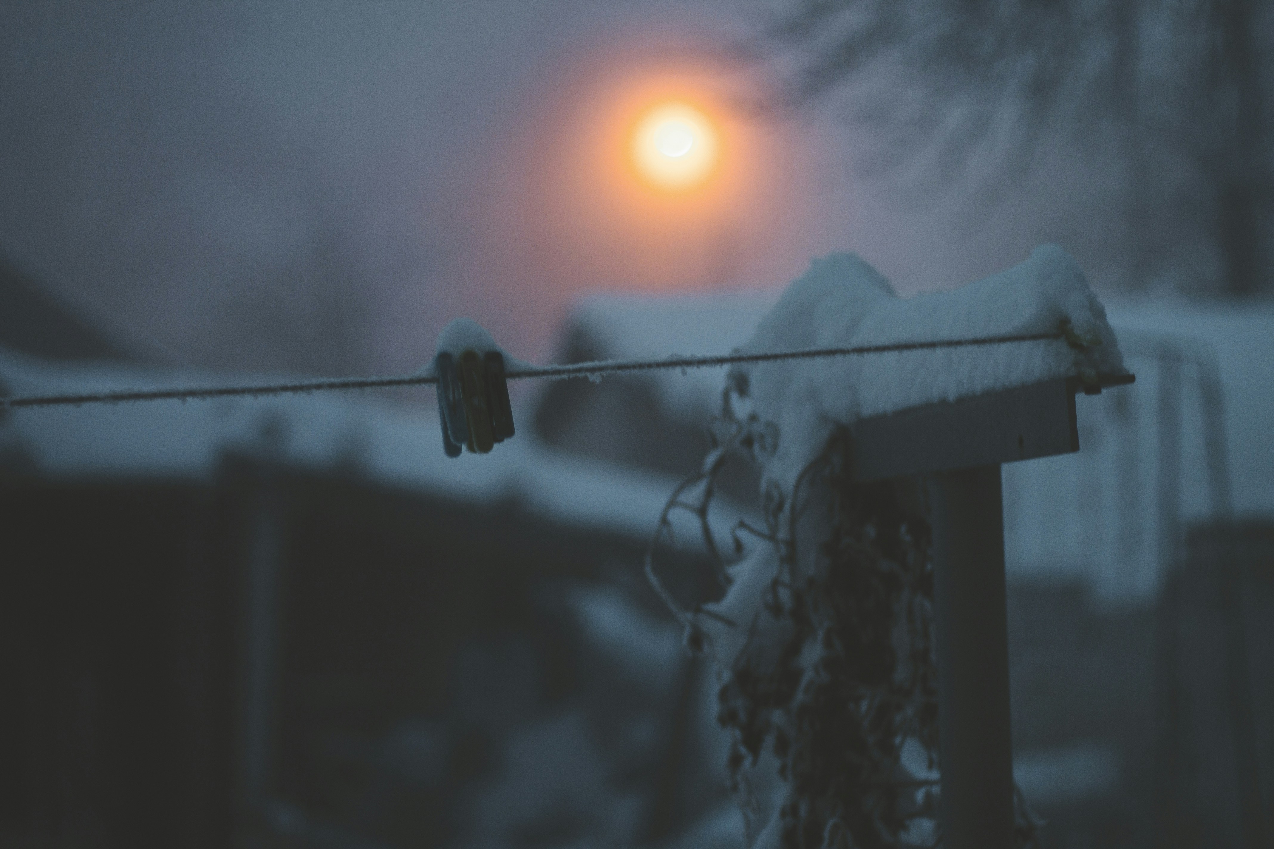 a bird is sitting on a wire in the snow