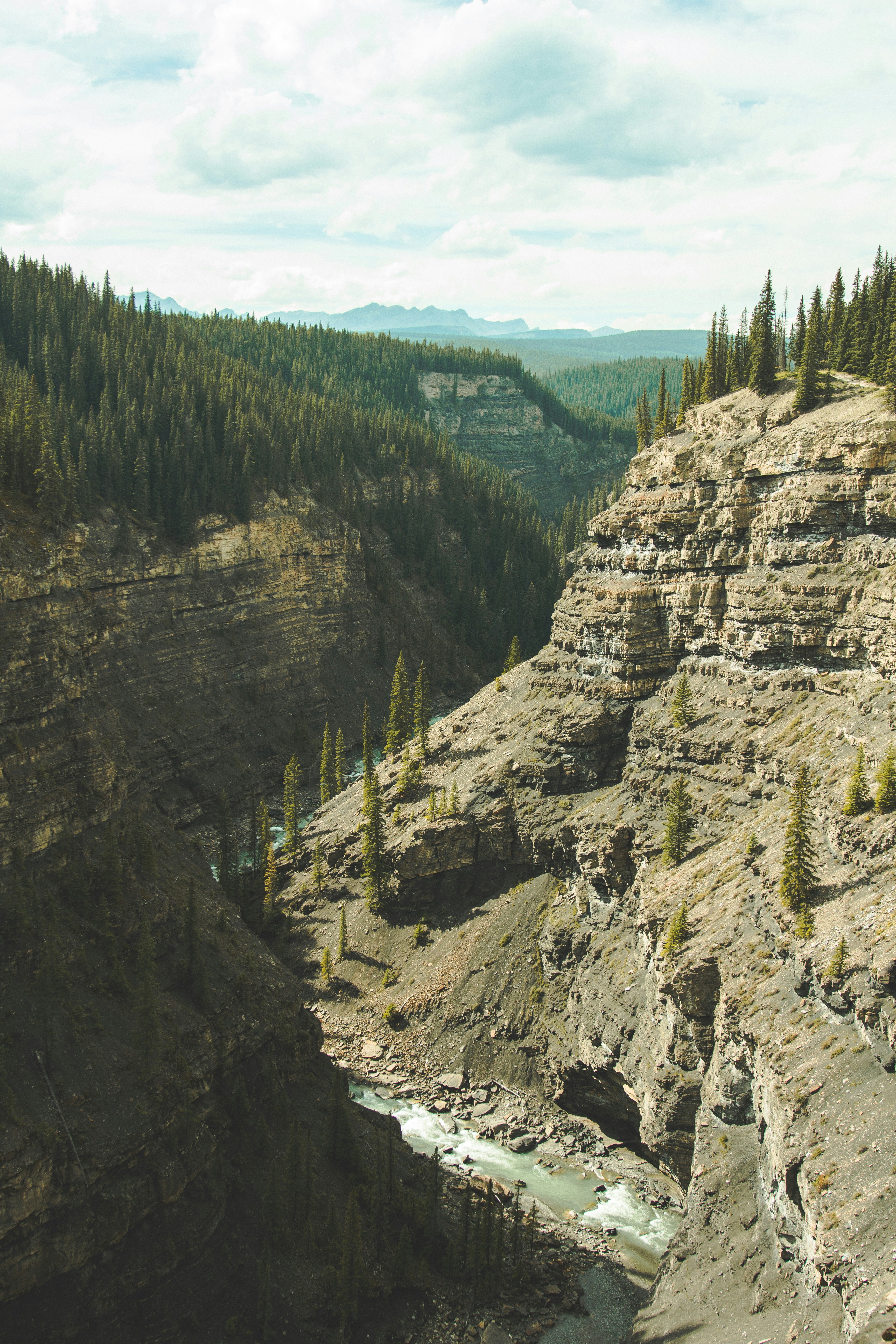 Rim-Woven Currents: Pine-Clad Cliffs Framing a Mountain River