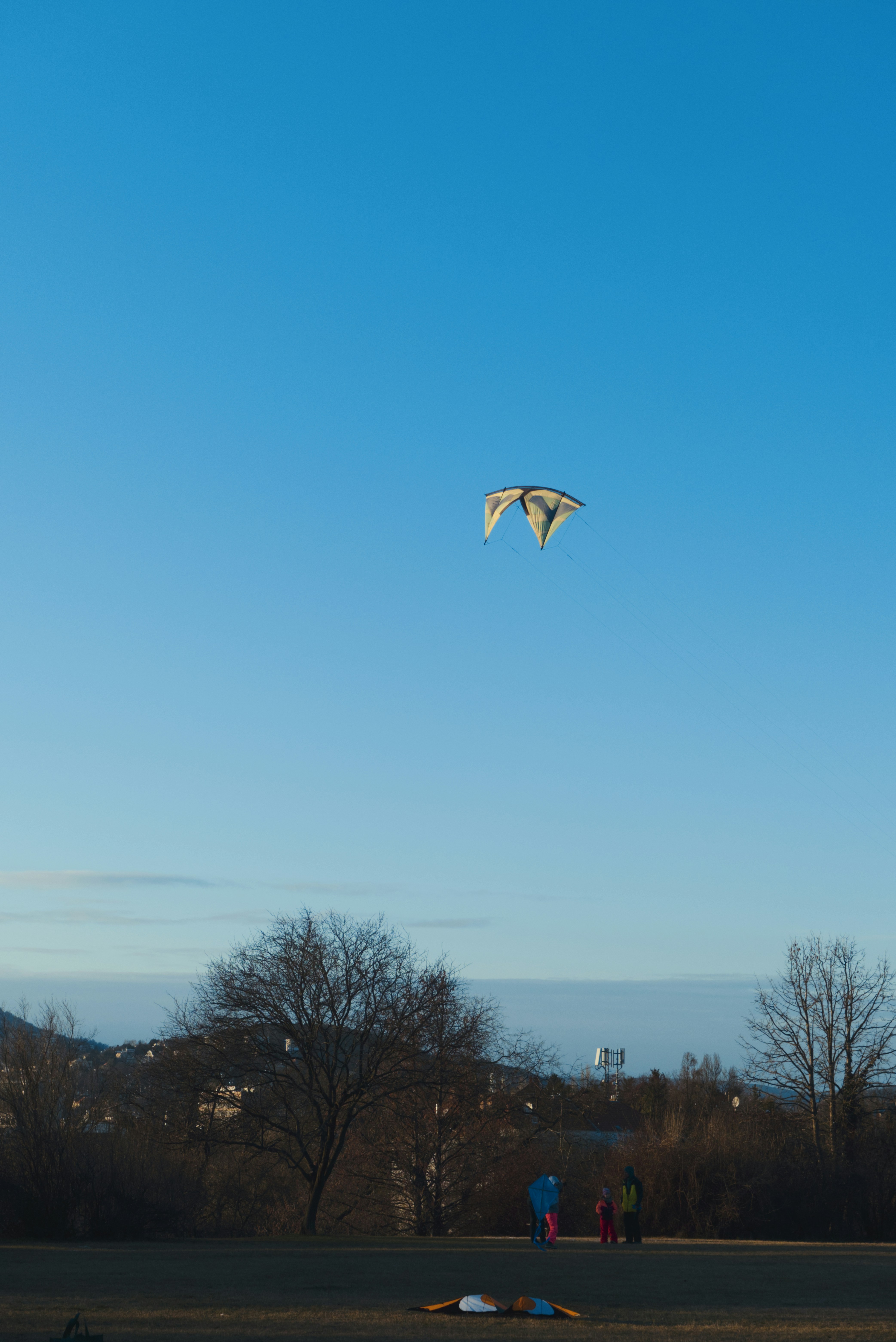 Deux personnes font voler un cerf-volant dans un champ photo – Image ...