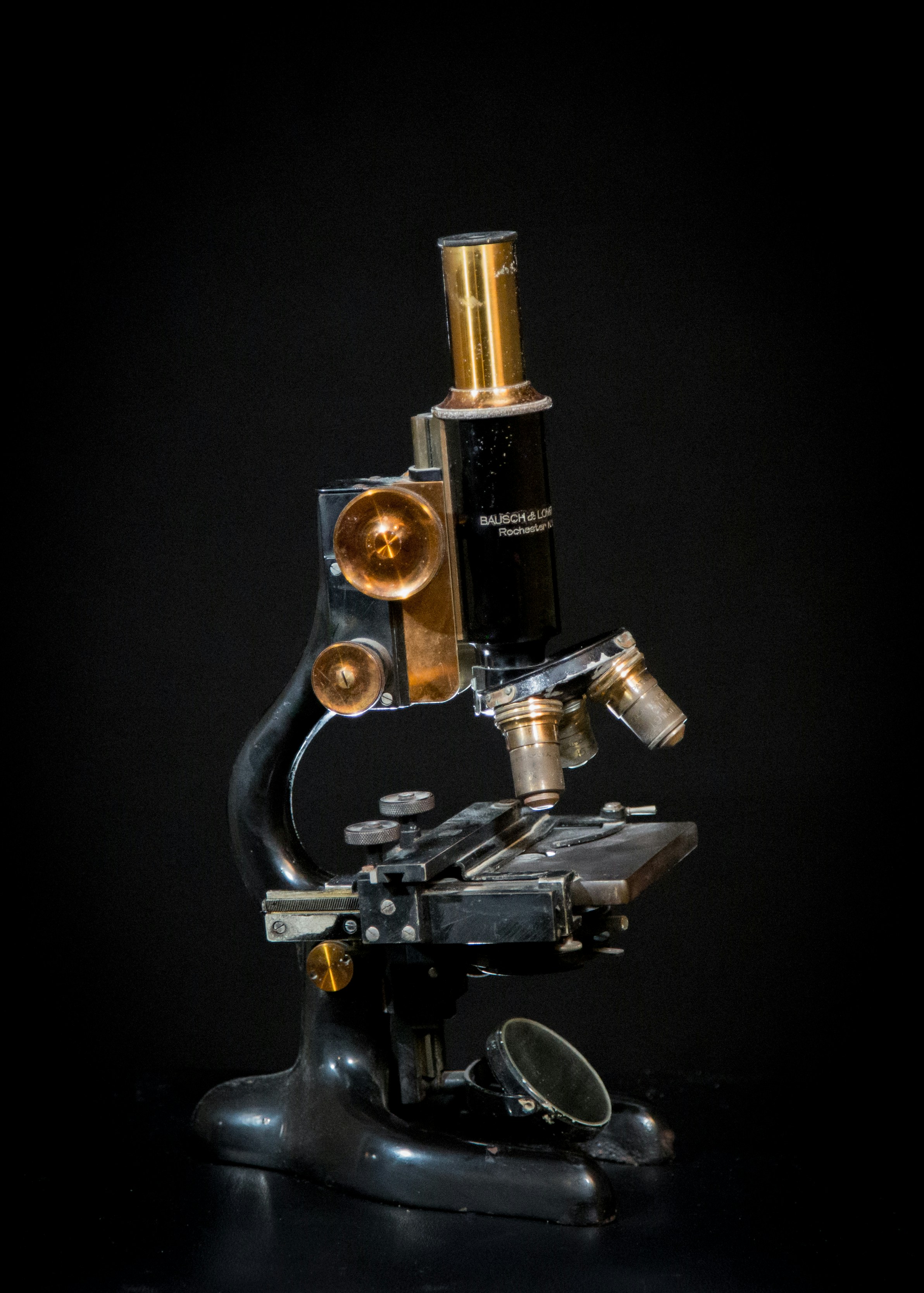 750+ Microscope Pictures [HD] | Download Free Images on Unsplash