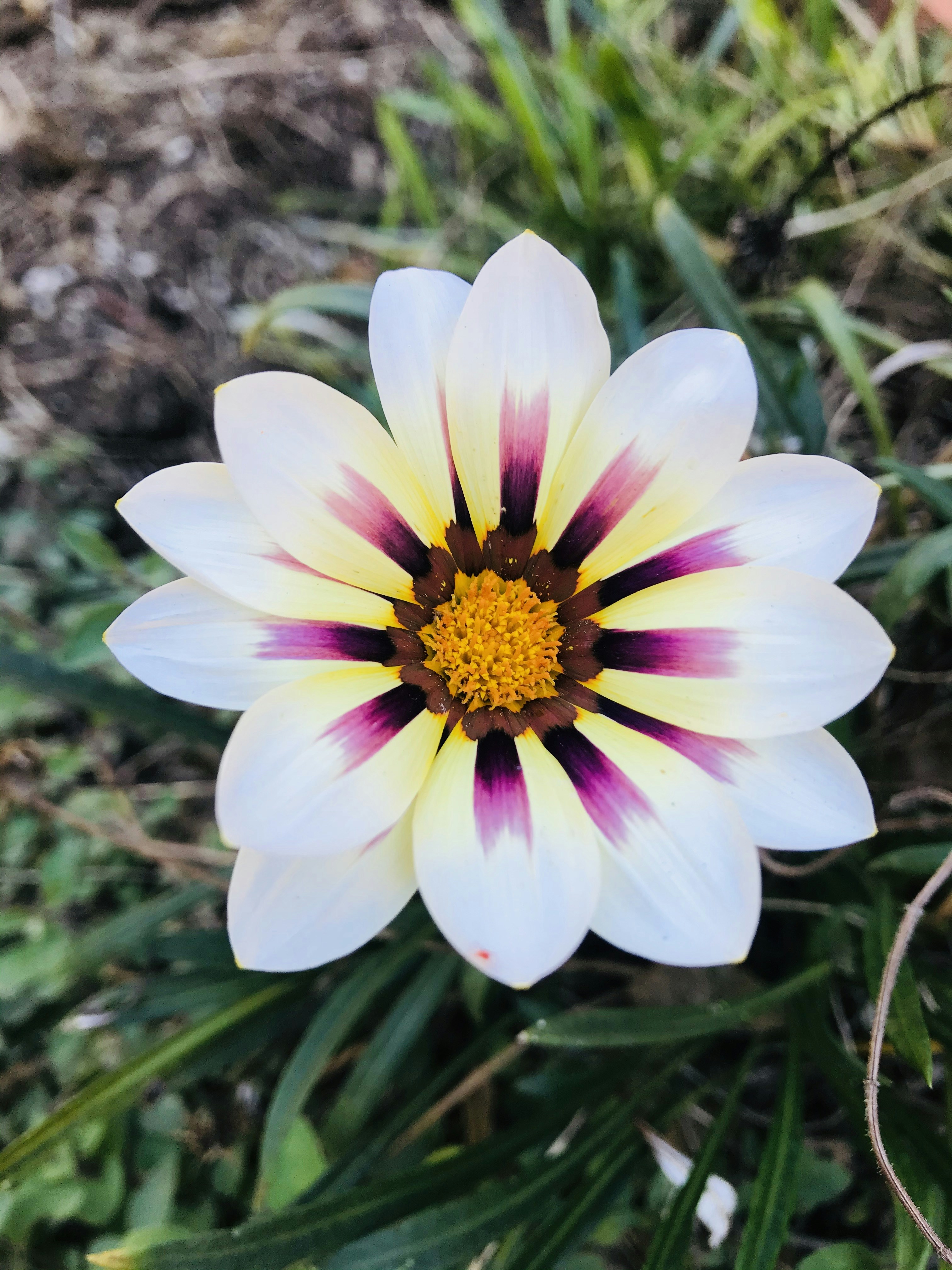 Geraldine Portier (@geportier) | Unsplash Photo Community